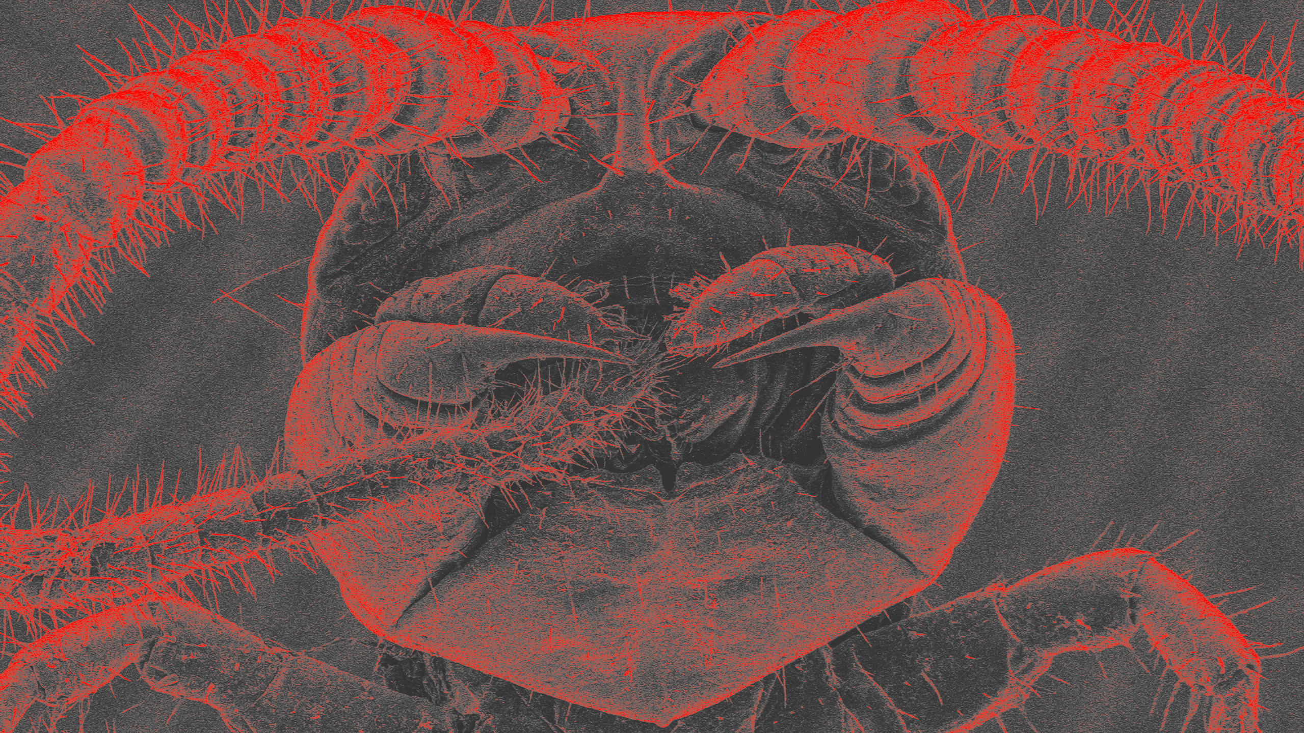 Climate change is making superbug drug resistance worse: UN