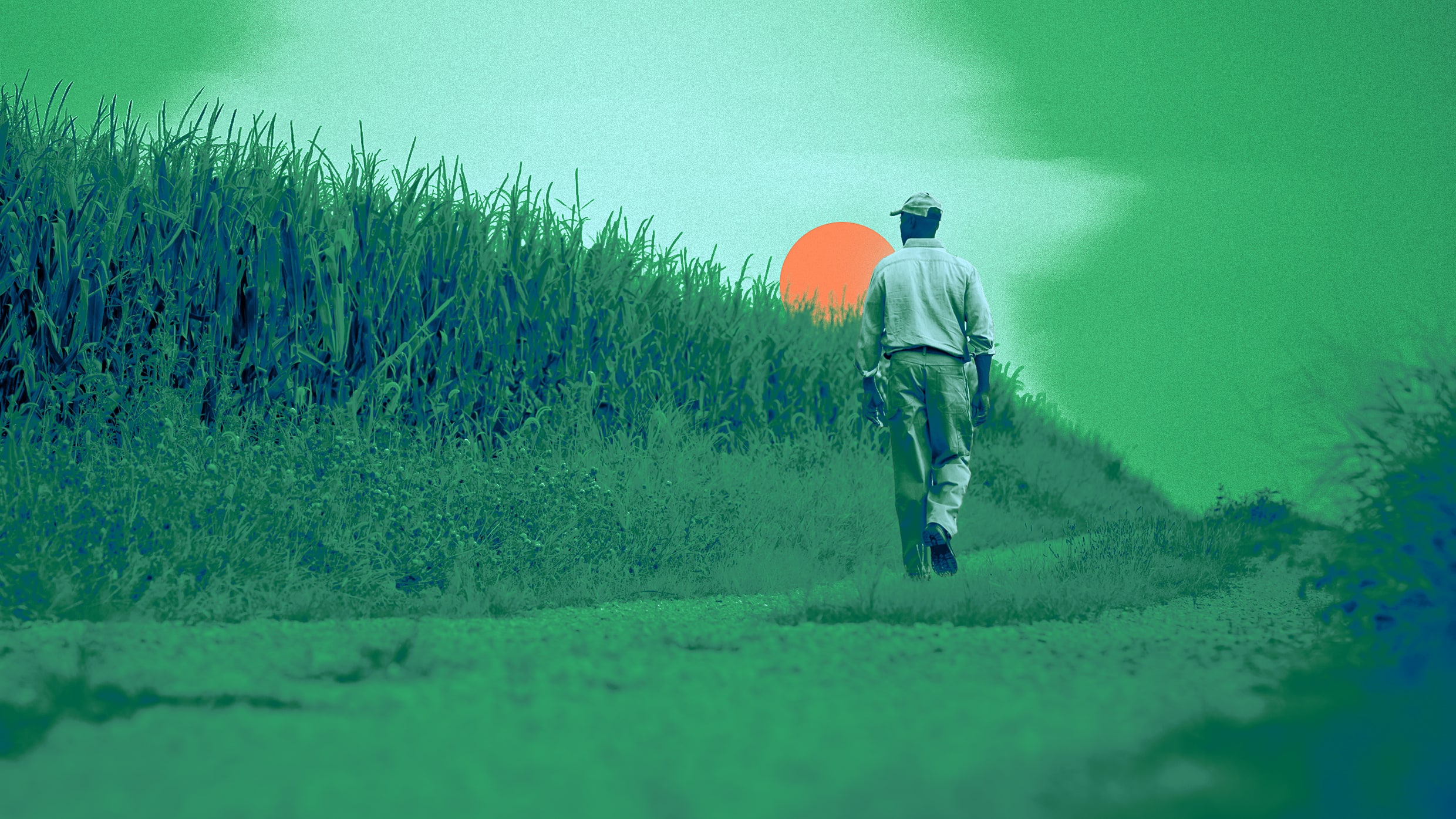 The hottest climate job you've never heard of