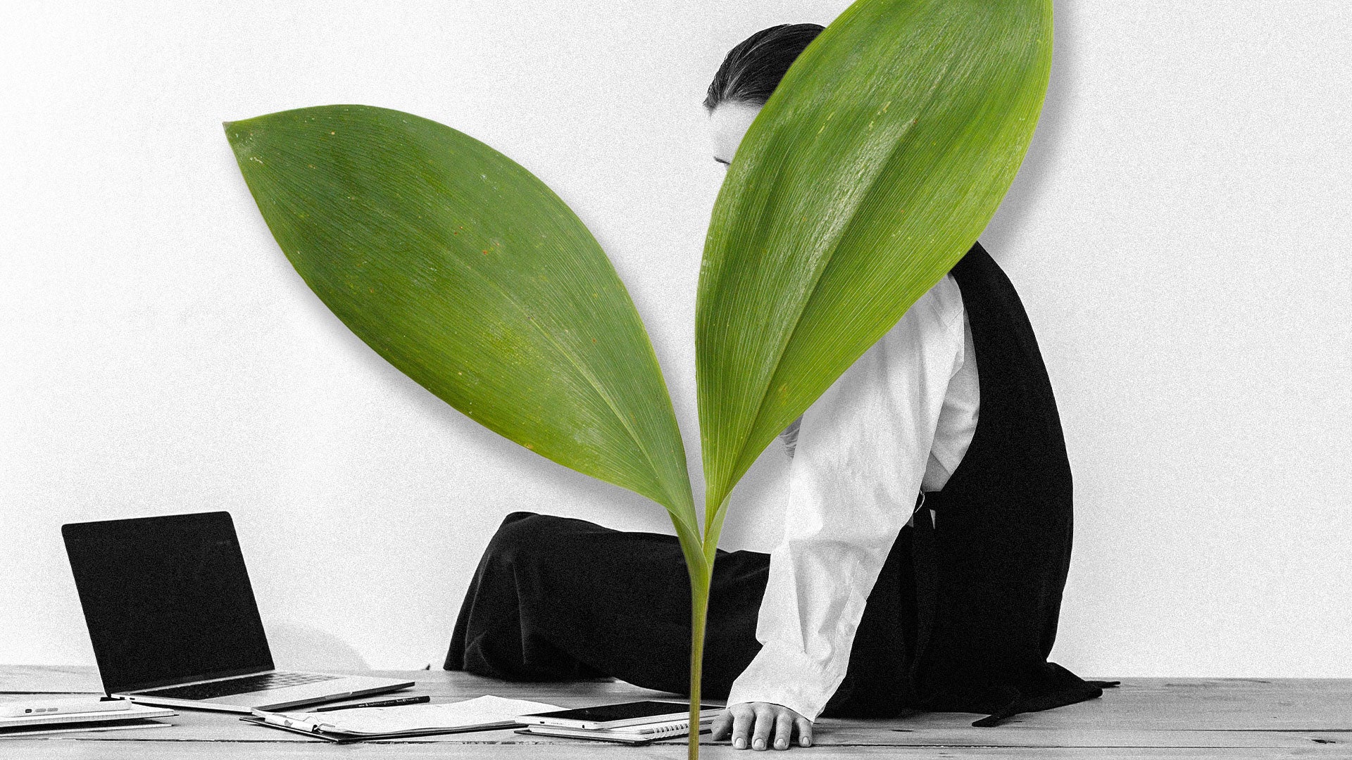 How connecting with nature can help you heal burnout and find joy