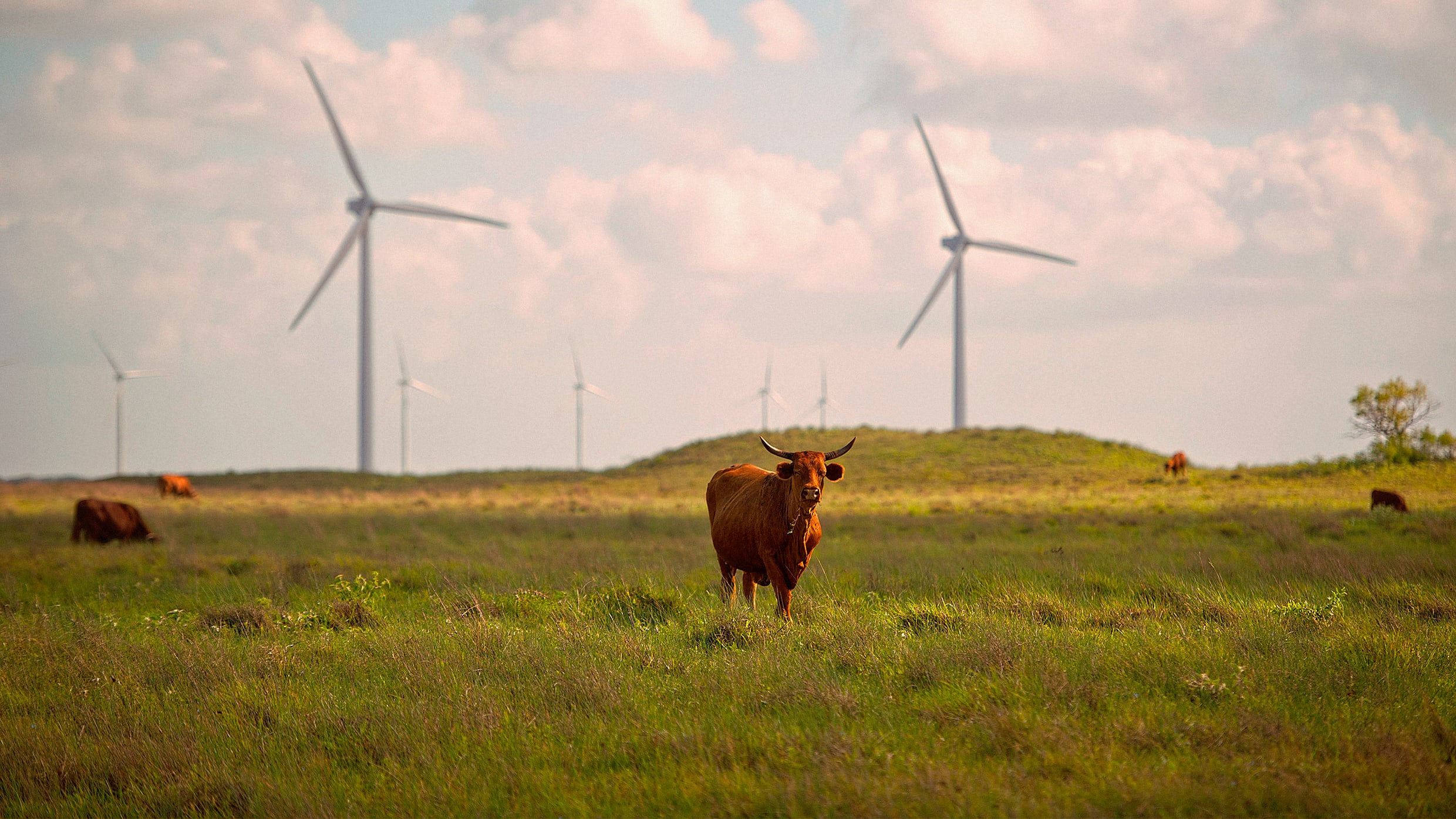 Texas generates way more renewable energy than any other state