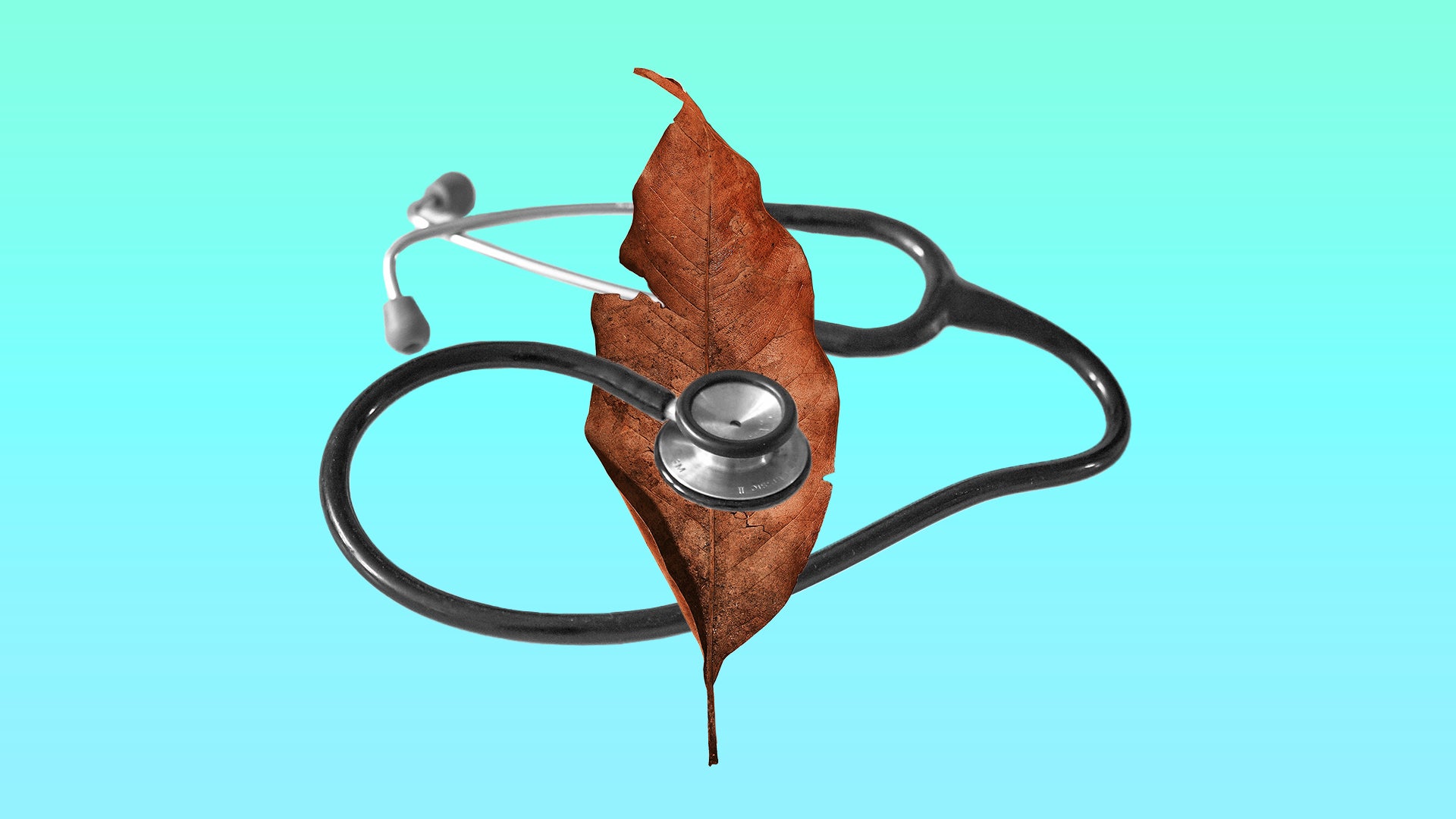 Is aging a disease? These longevity clinics want to treat it that way