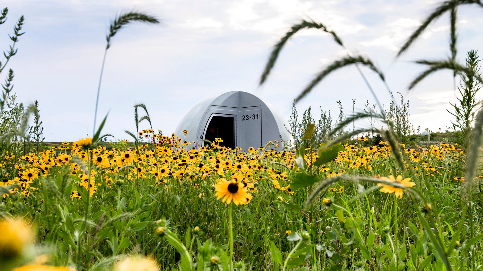 How 6 cities are embracing nature