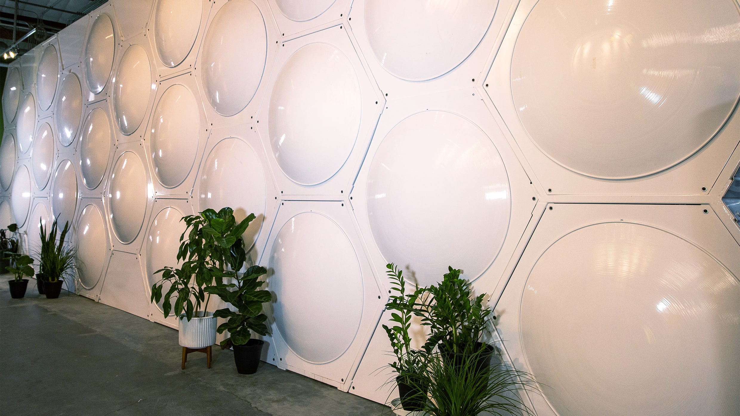 Why one family embraced human composting after a tragic death