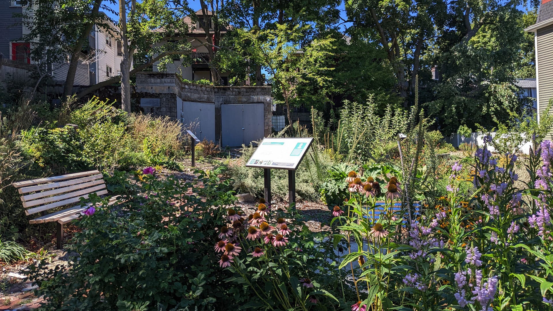 The exciting and untapped potential of food forests