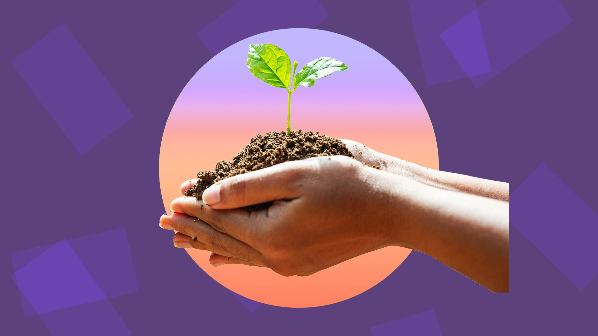 Why a solid ‘life operating system’ is key to success and happiness