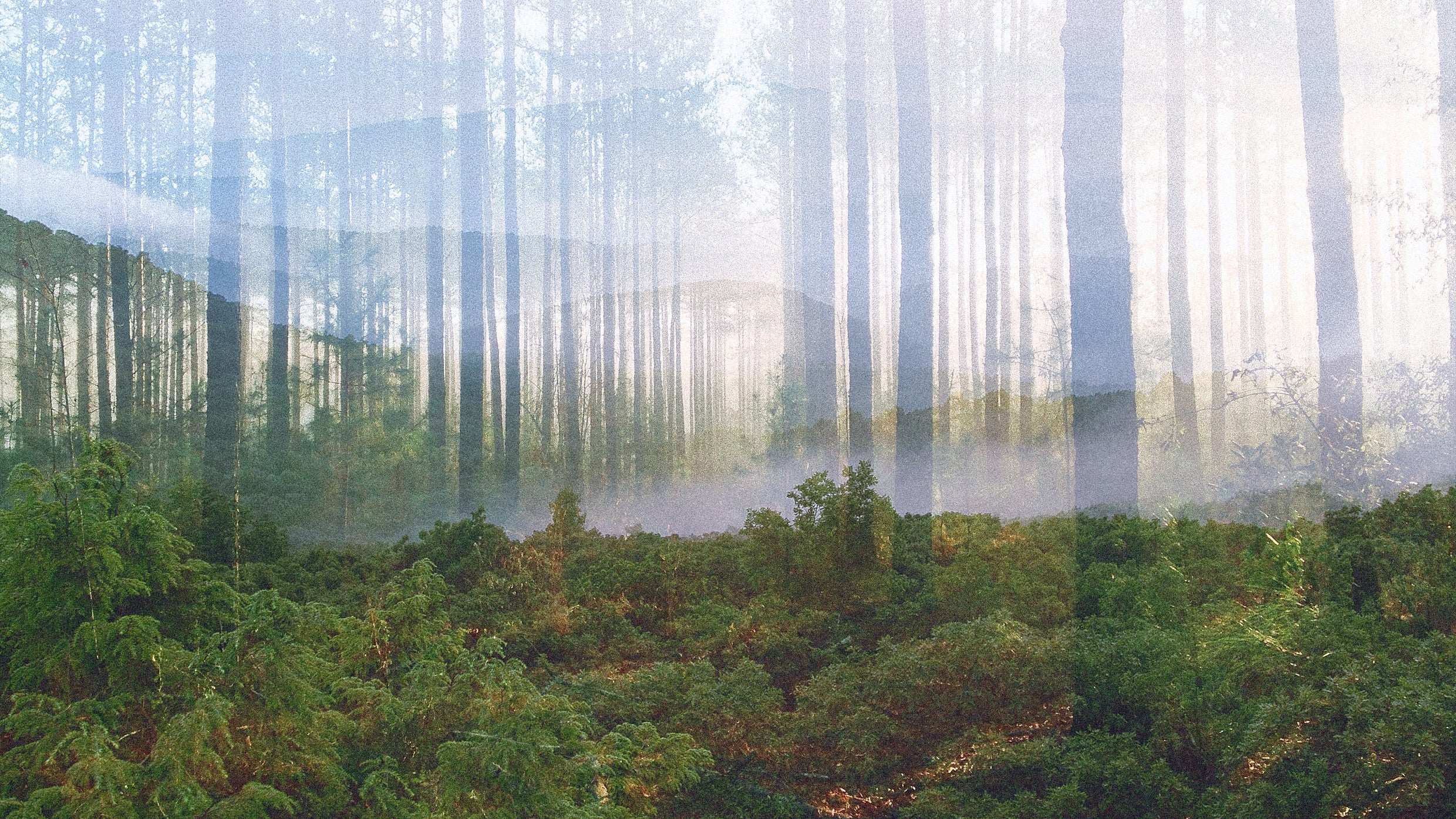 Inside a controversial new plan to manage 300 million acres of family ...