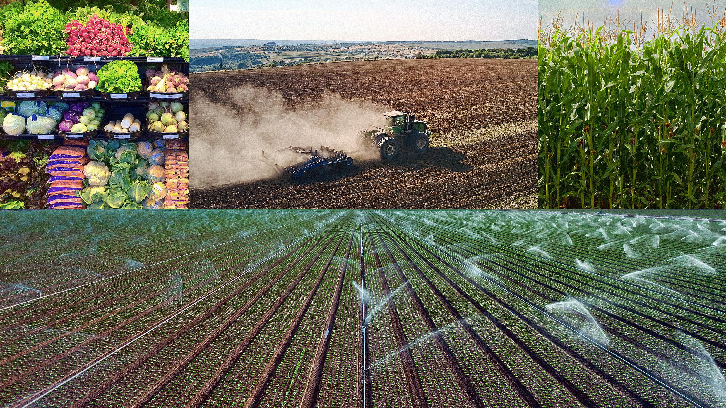 4 ways the $1.5 trillion farm bill will determine how America eats