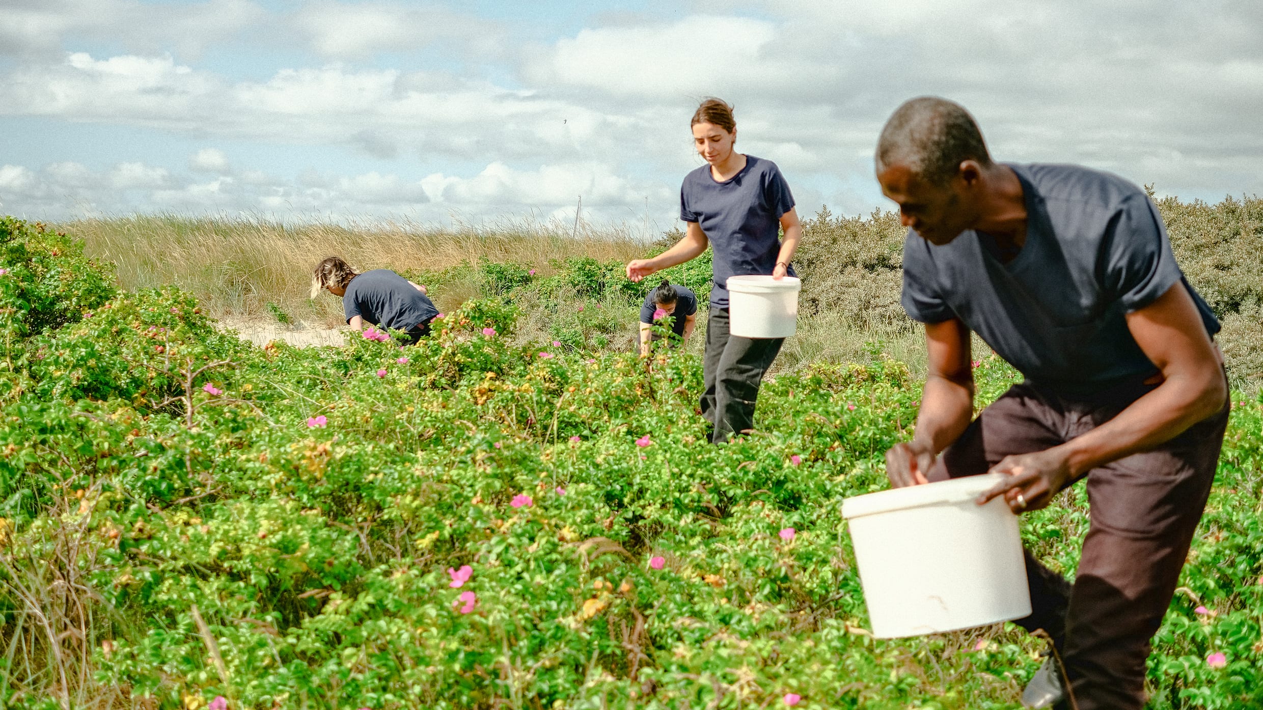 Inside Noma's plans: Close the dining room, sell food products