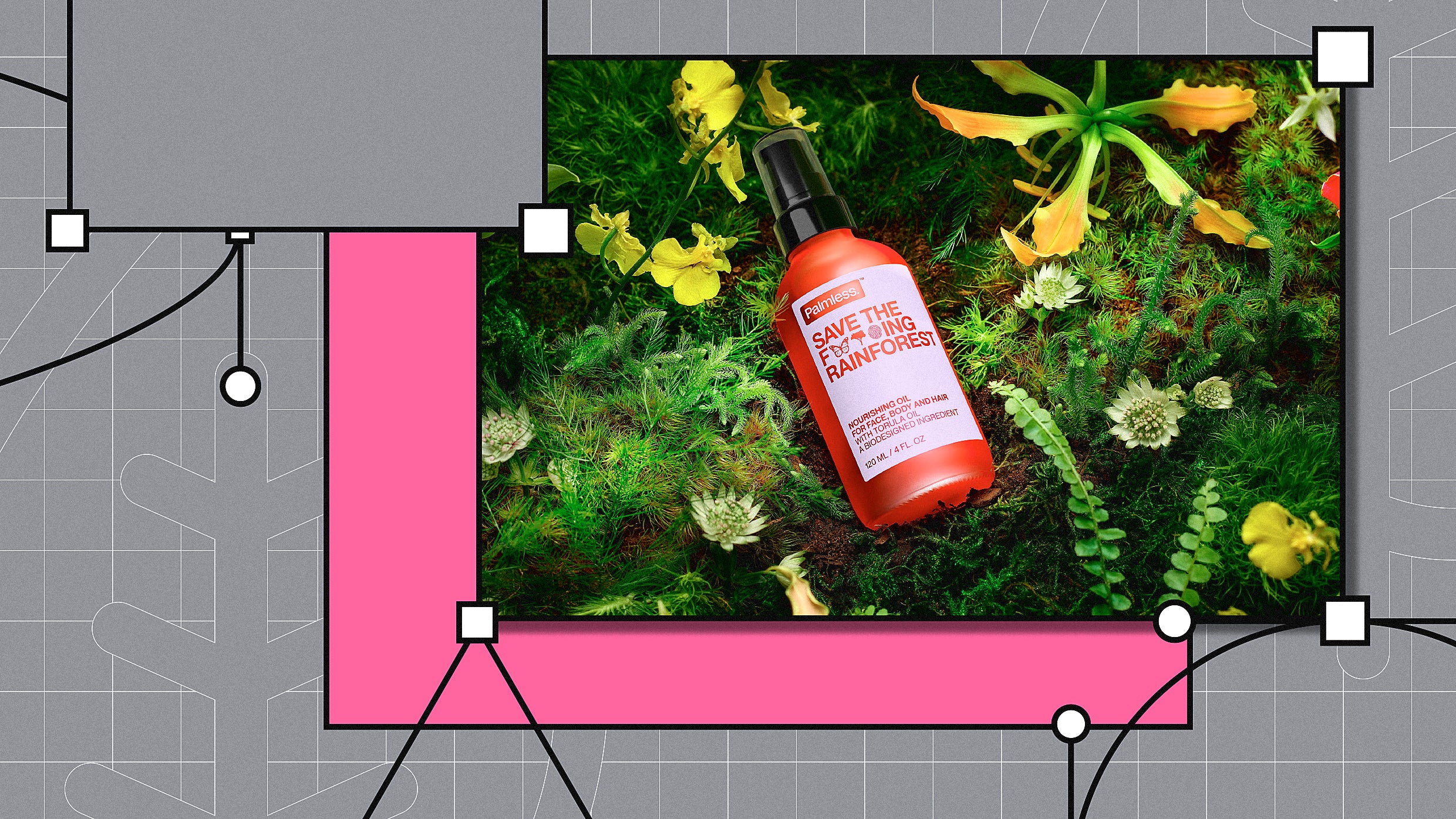 World Changing Ideas 2023: C16 Biosciences’ alternative to palm oil