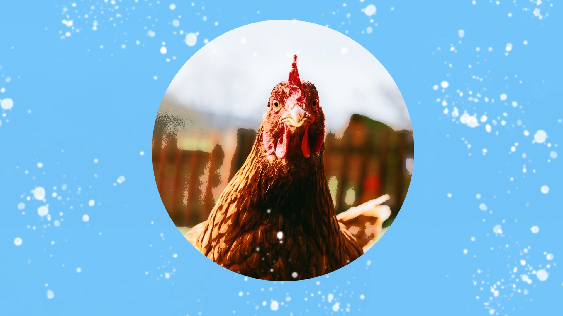 How to stop the office ‘Chicken Little’ from running amok