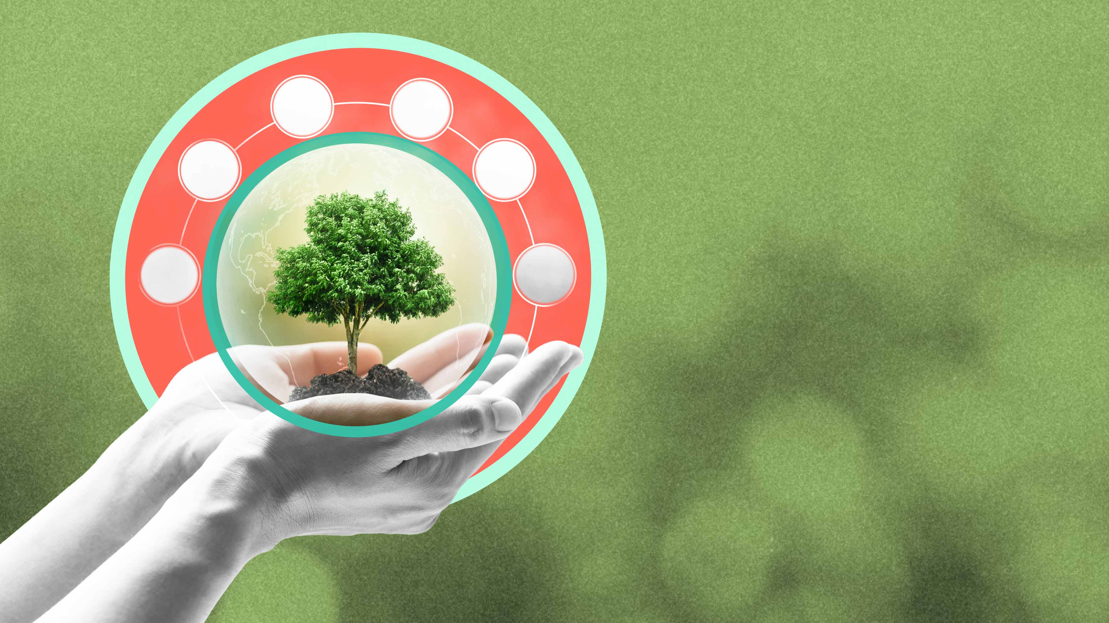 Sustainability in ad tech: There’s never been a better time than now to ...