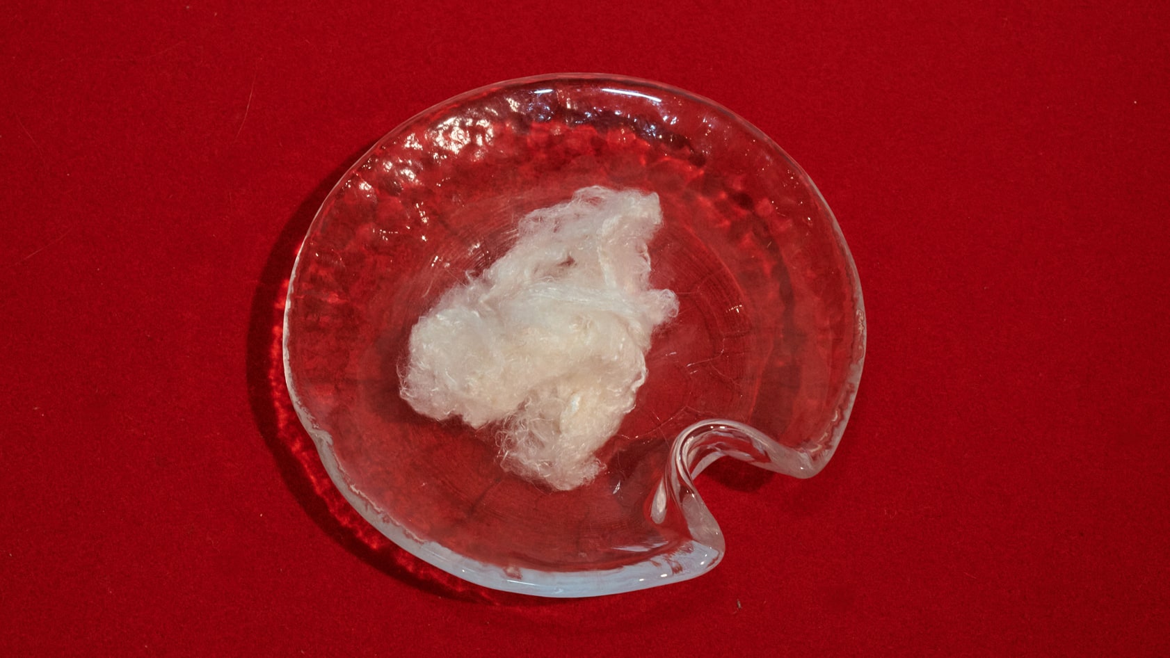 Startup Rubi just turned CO2 into yarn