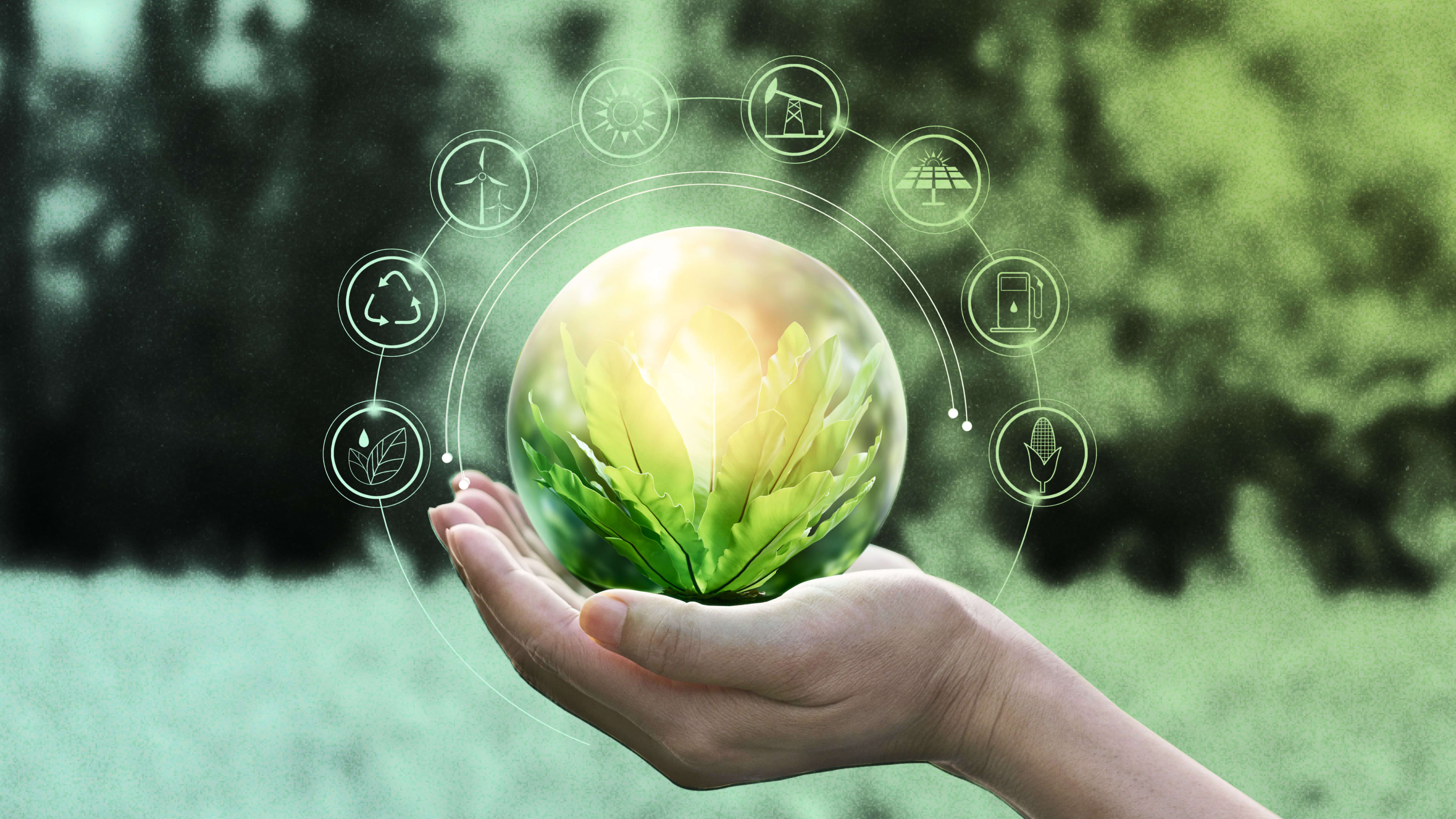 spherical things crossword