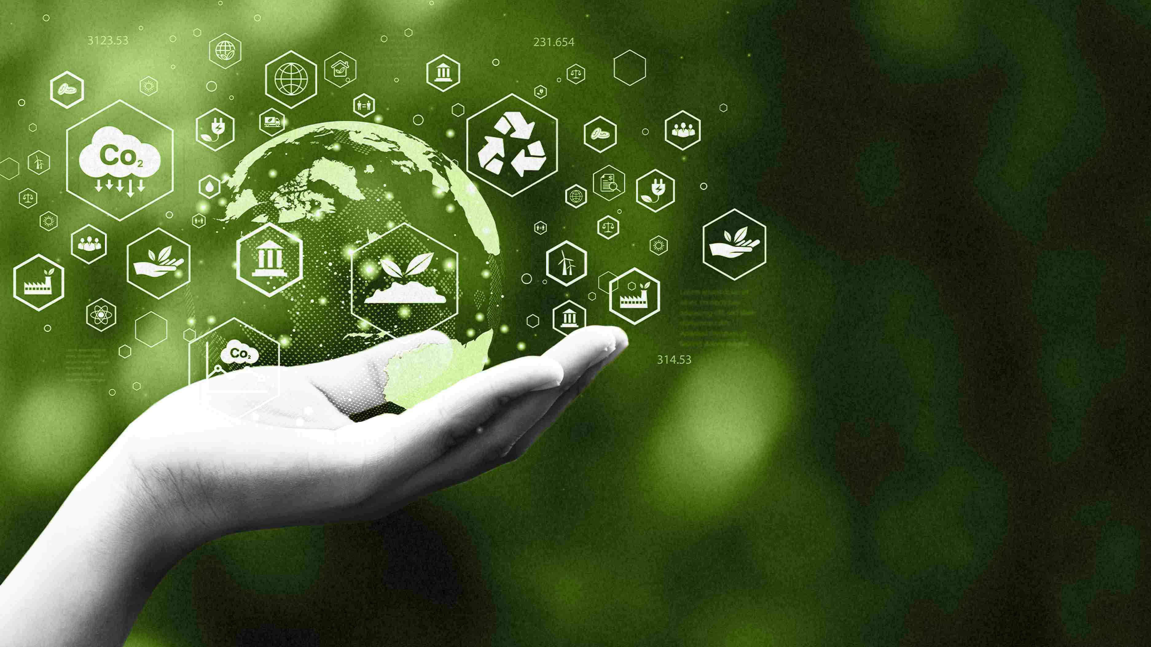 Three keys to strengthening your brand with eco-conscious consumers