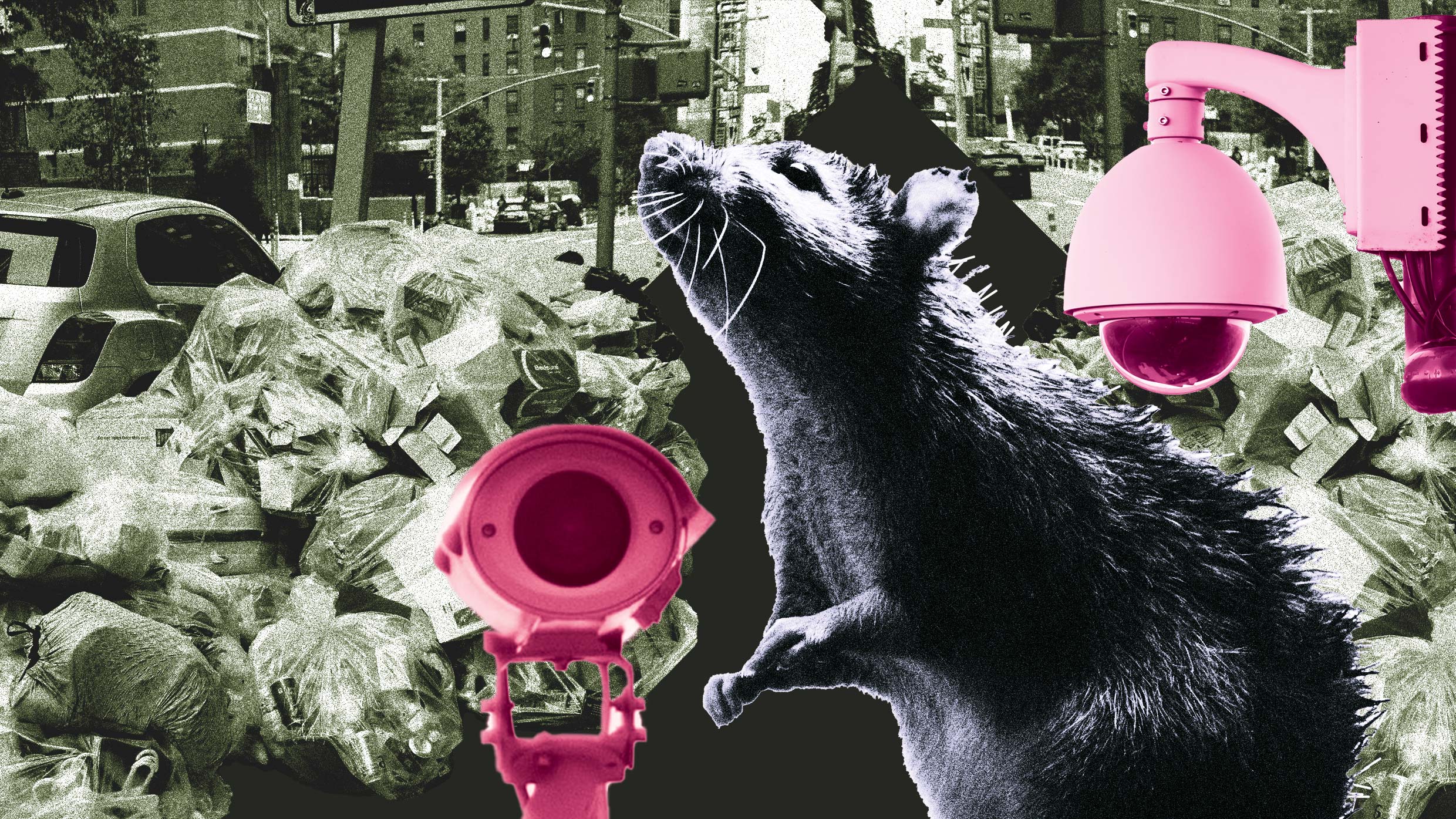New York's garbage surveillance program is a privacy nightmare