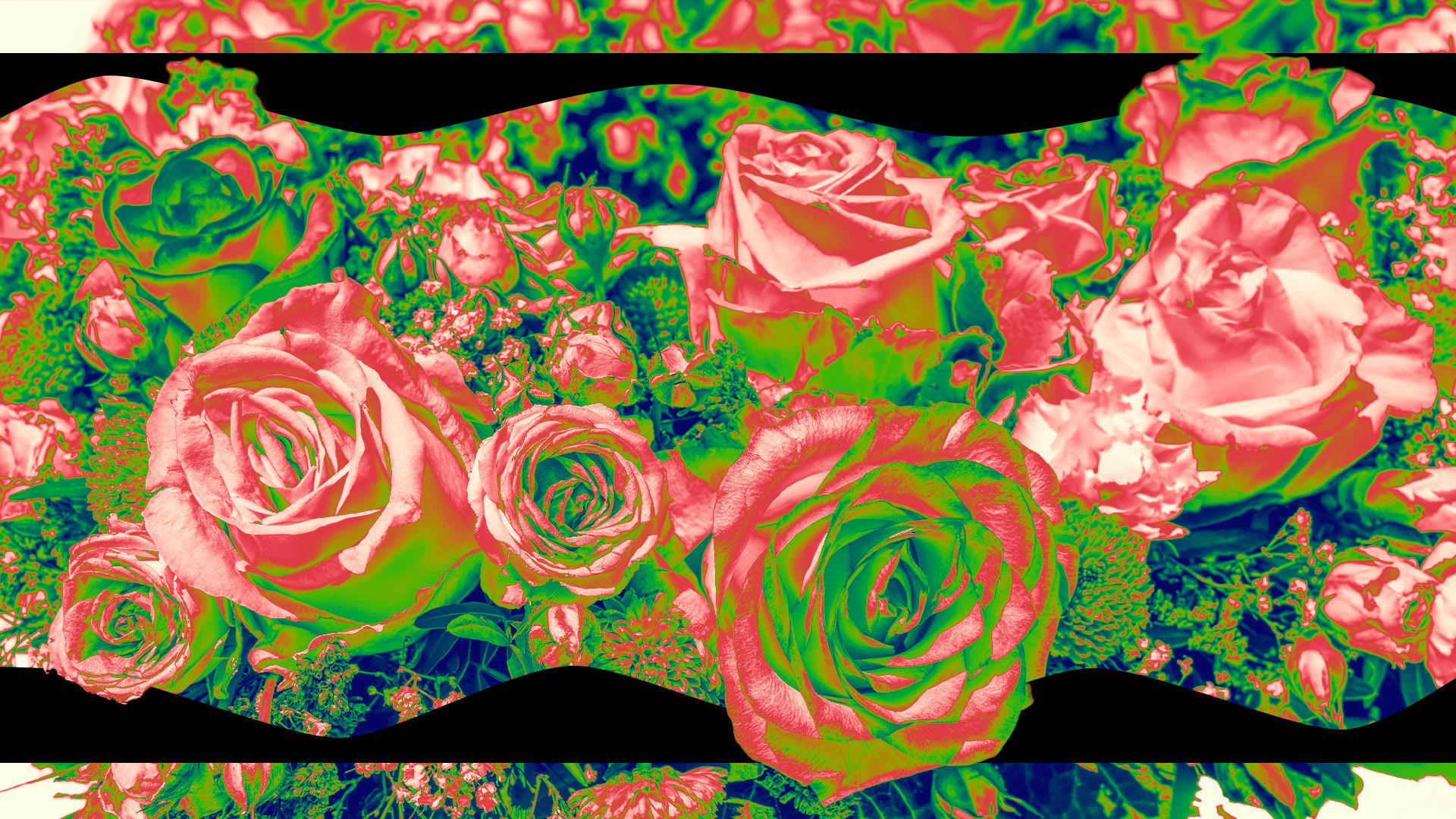 Crayola Flowers: Crayon company launches online flower shop for good