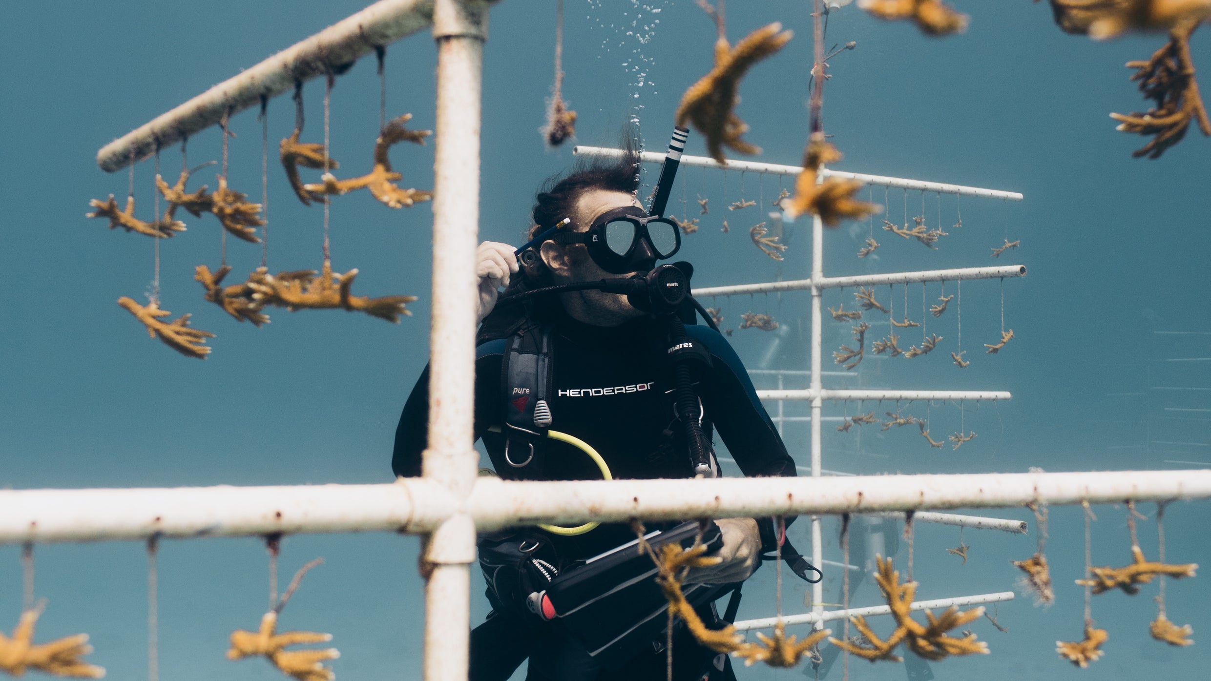 How Coral Vita raced to save coral reefs as ocean temperatures spiked