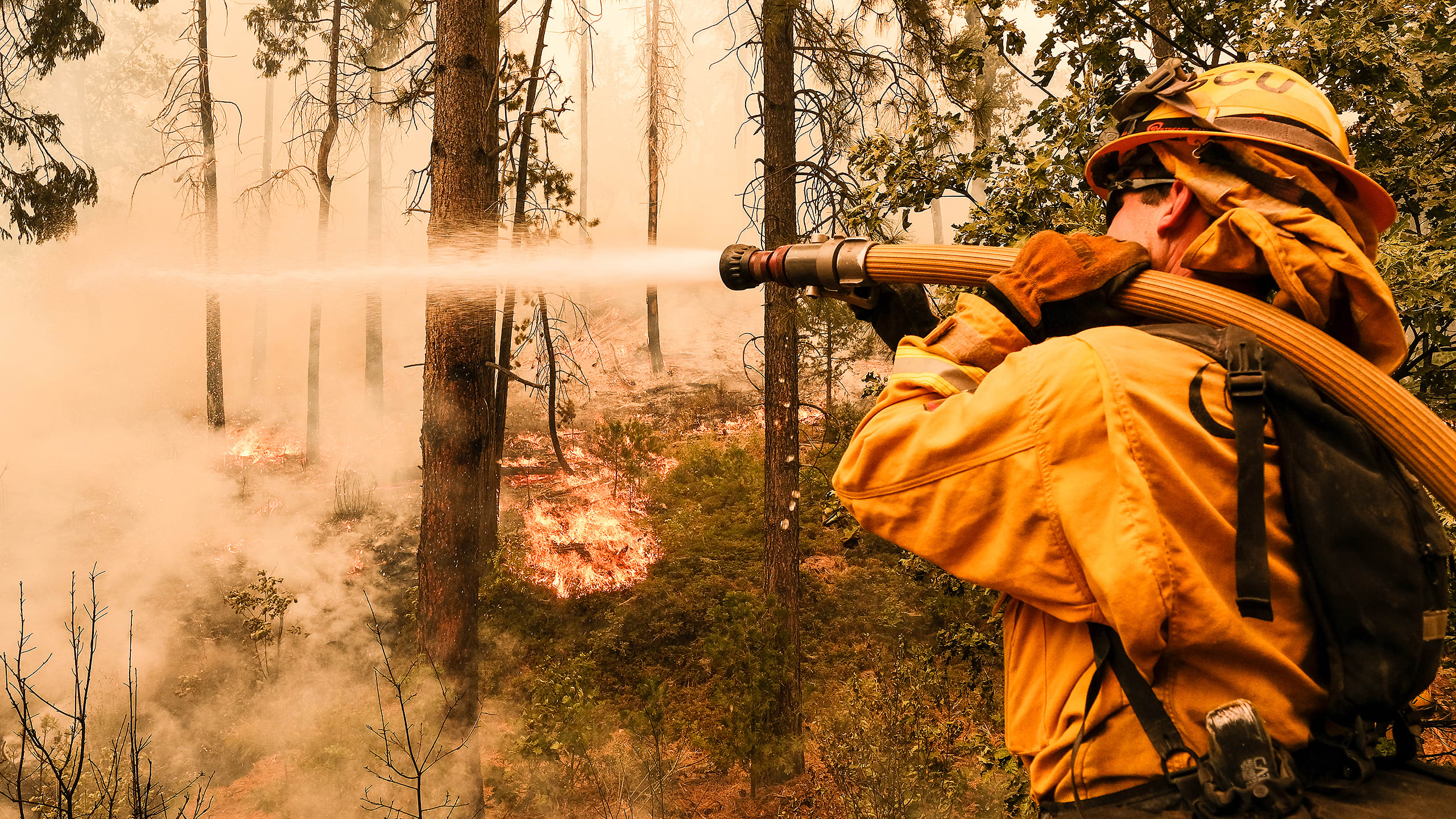 Government shutdown could affect wildland firefighters pay