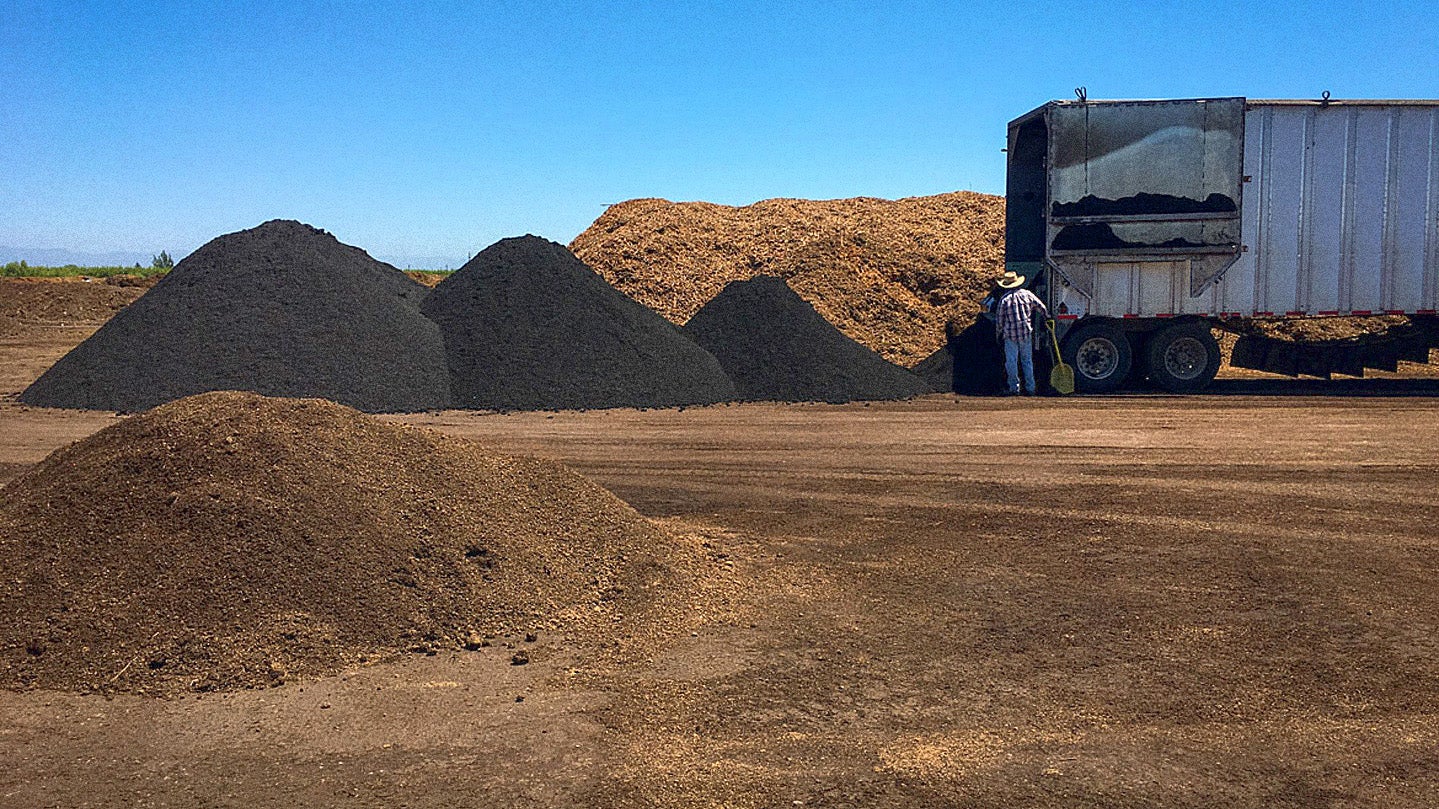 What is biochar? Why an ancient farming technique could help fight ...