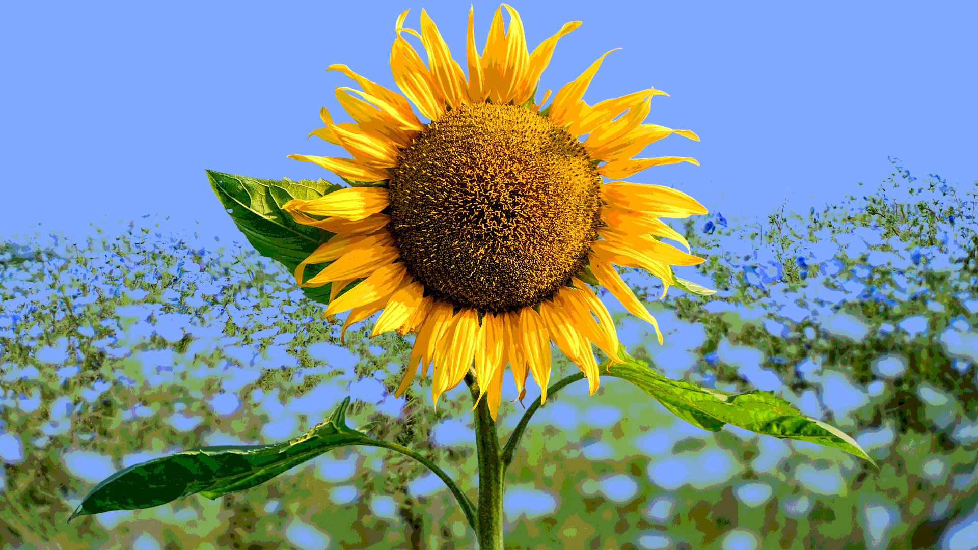 Create your market by being recognizable but different