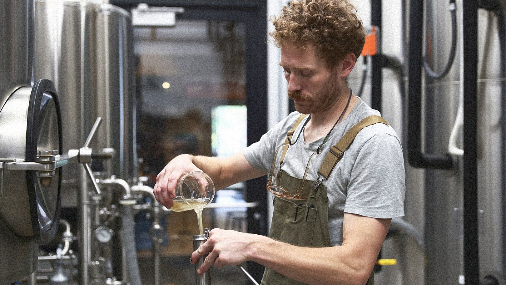 Winter barley could be the key to saving beer from climate change