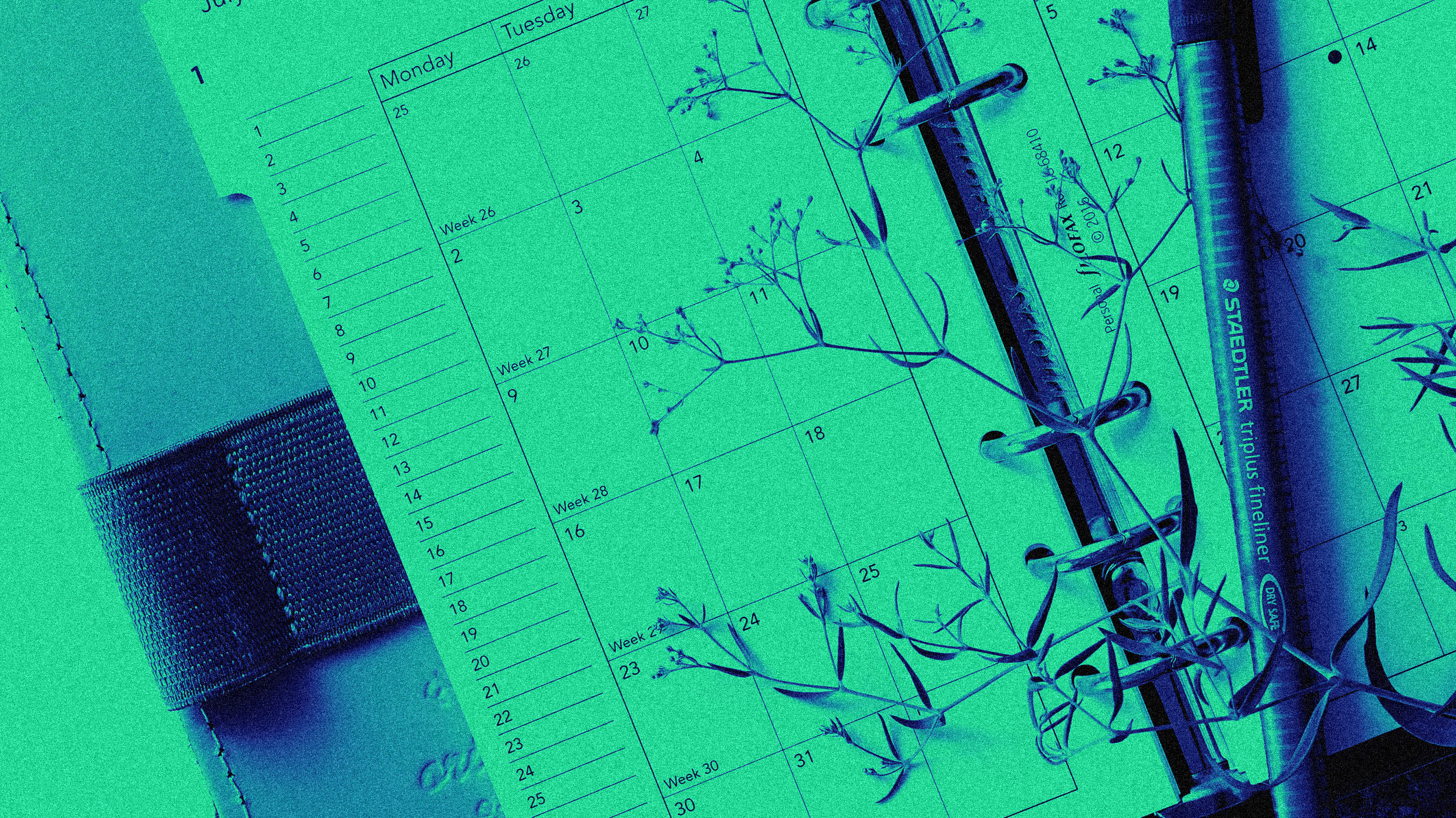 Why Mondays are actually the best days to work in the office