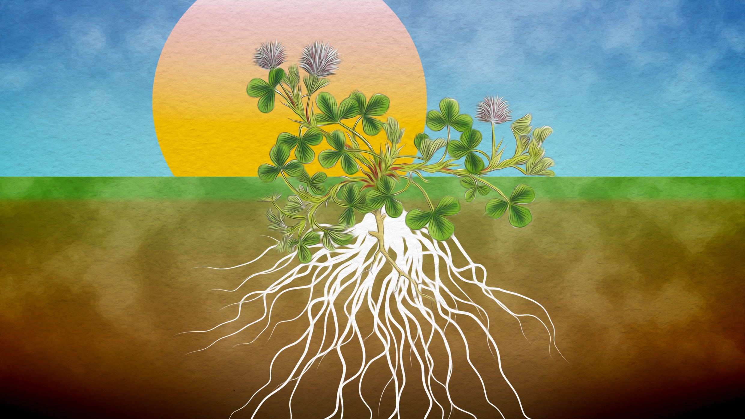 Why regenerative farming is taking hold in red America