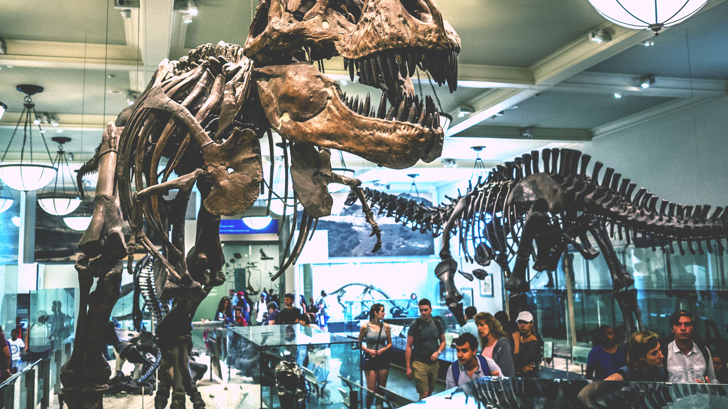 New York museum worker dealing with high cost of living