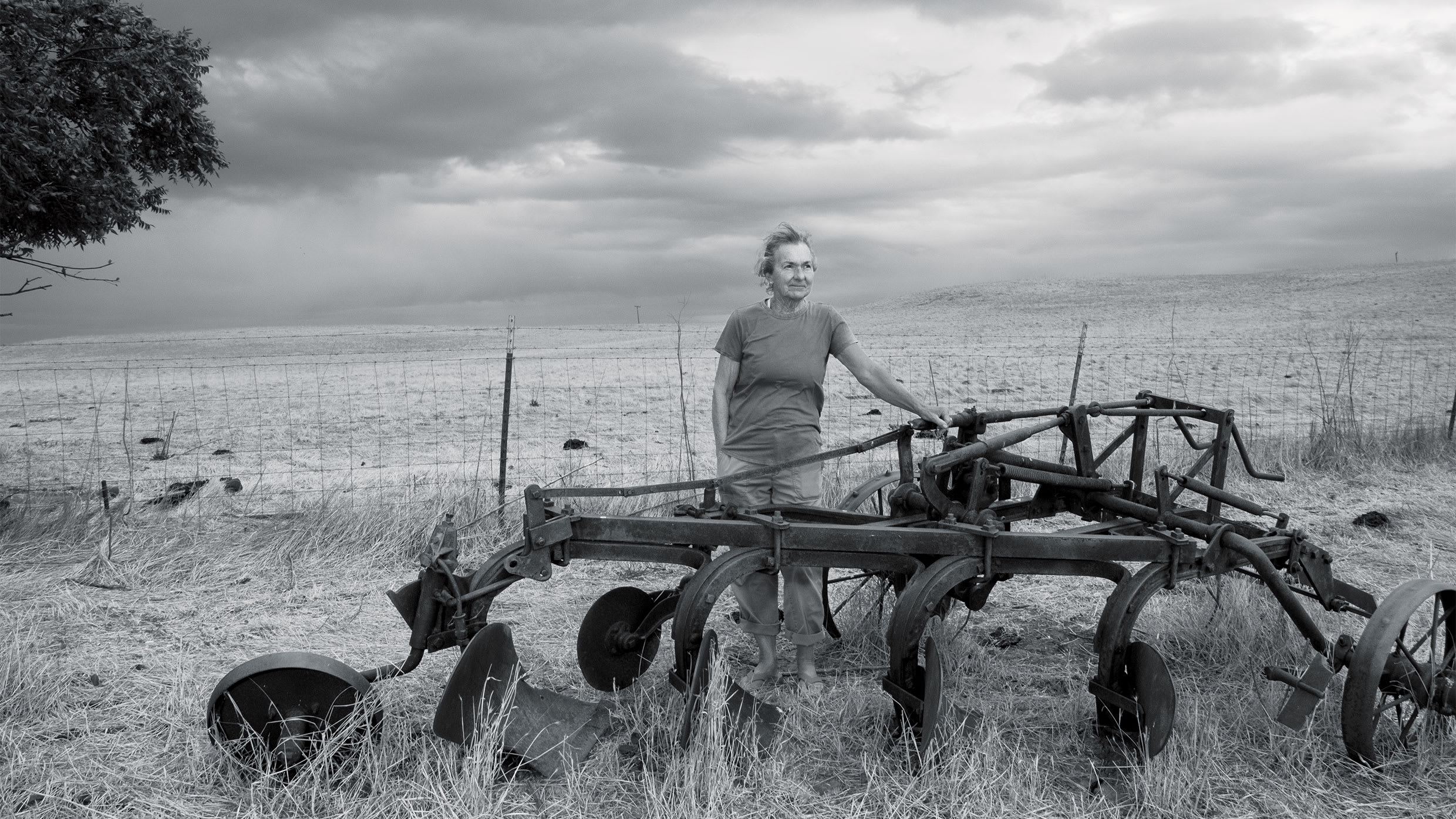 Big Tech’s California Forever plan is upending this farming community