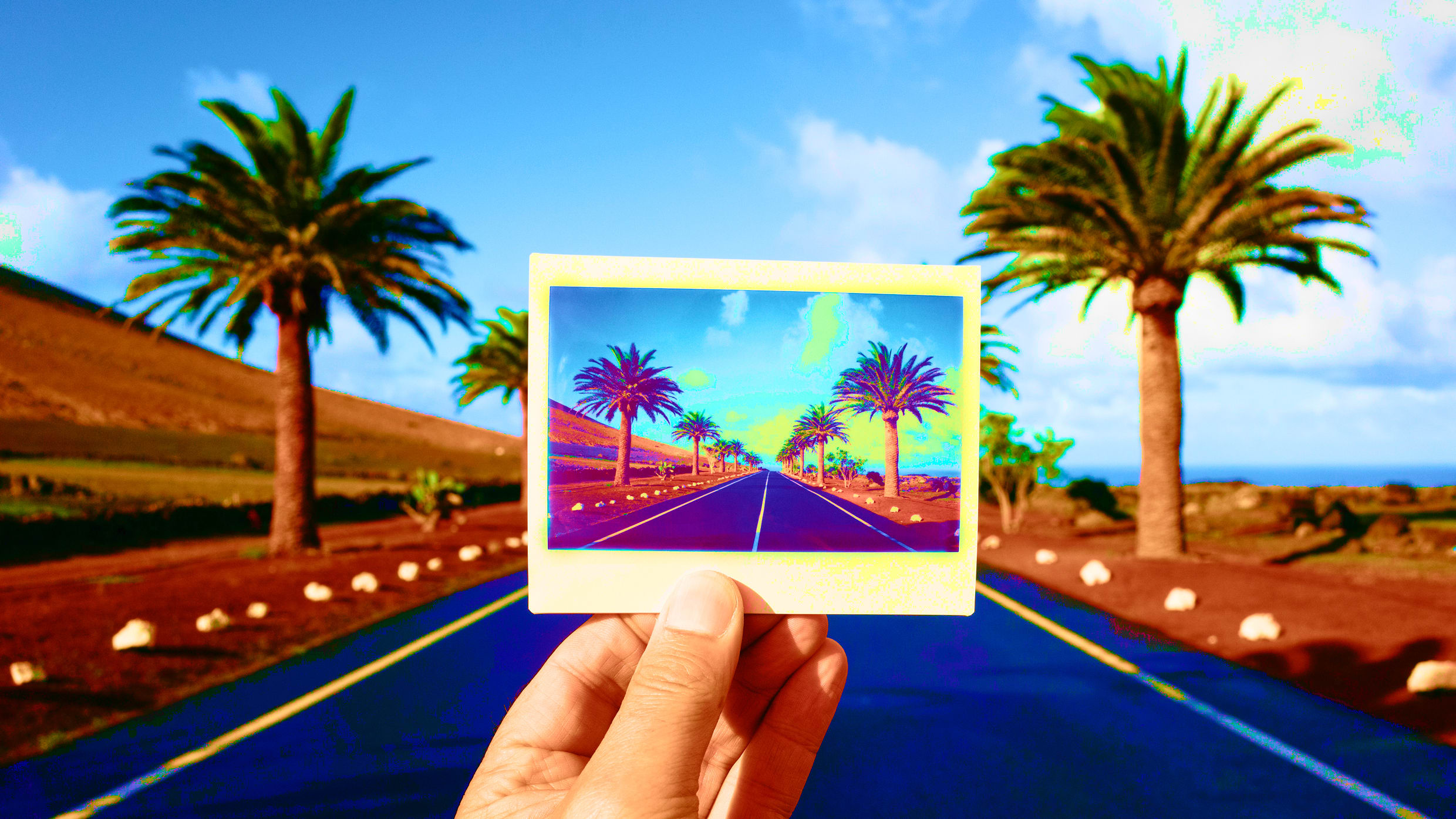 How your brain predicts and shapes reality