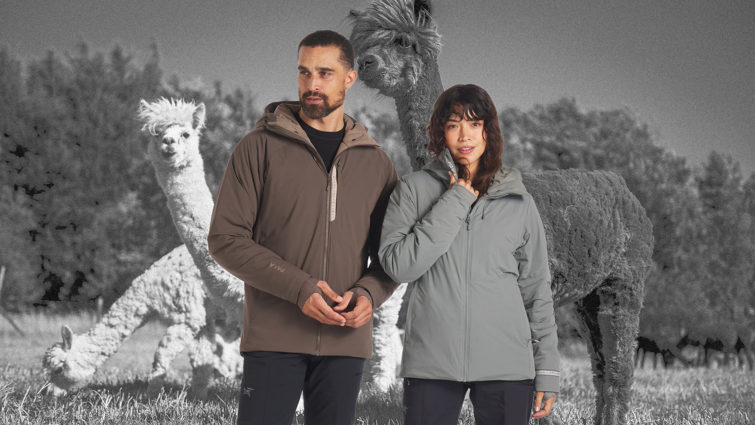 Instead of goose down, the warmth of Paka's parka comes from alpacas