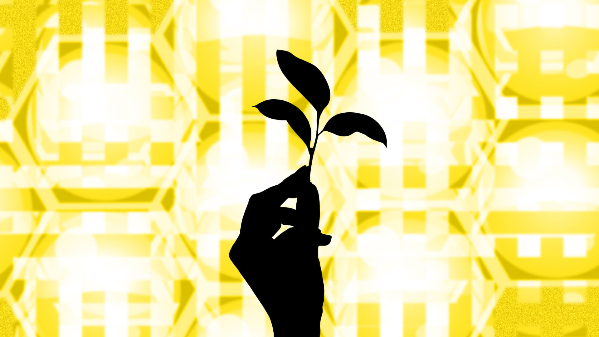 How to recruit early-career tech talent