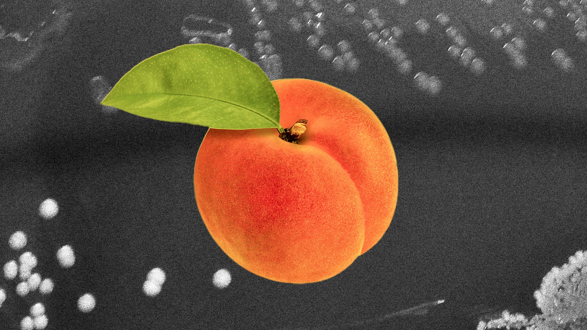 Listeria fruit outbreak: peaches, plums, nectarines in these states