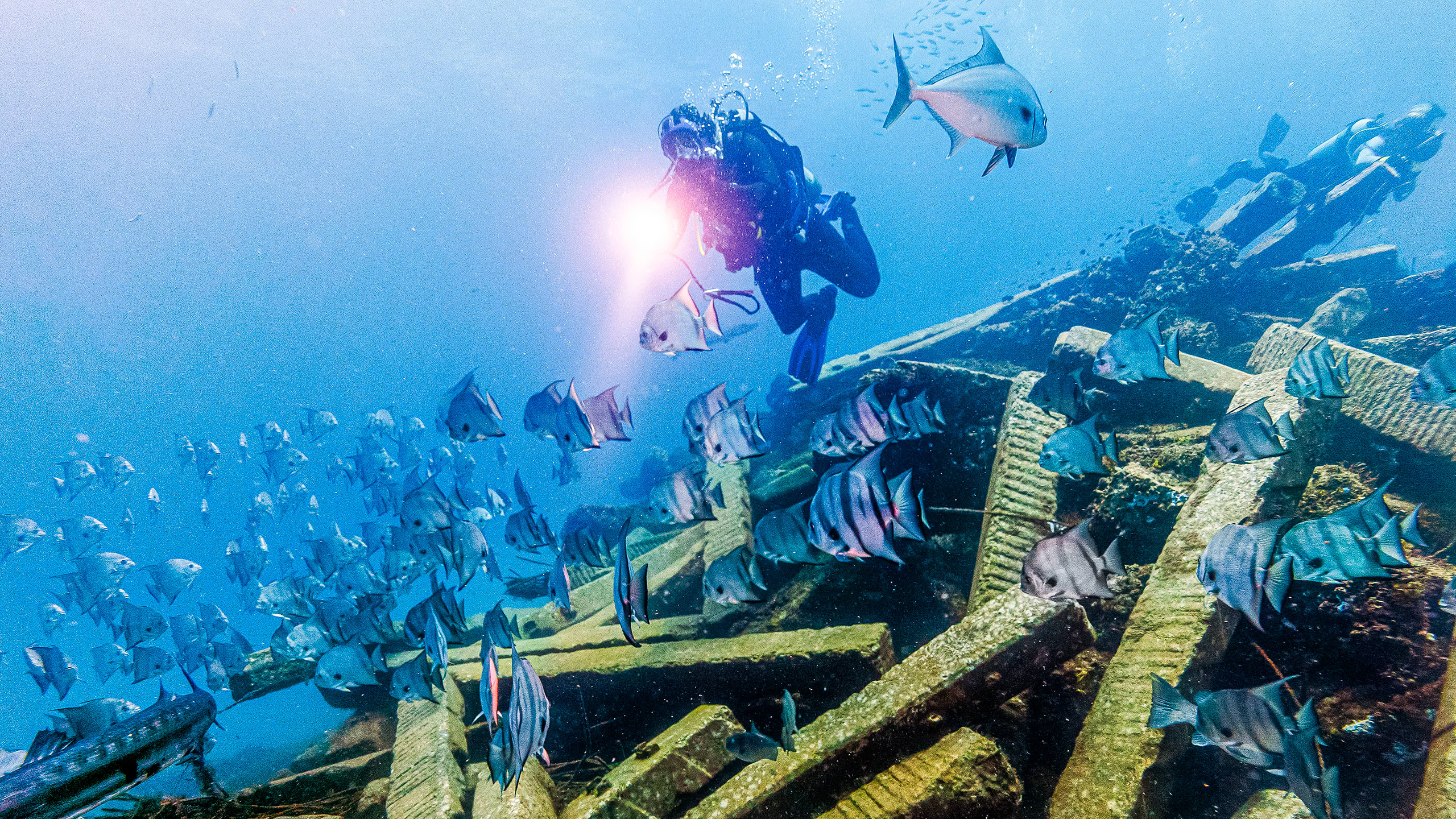 Texas's largest artificial reef could help capture carbon