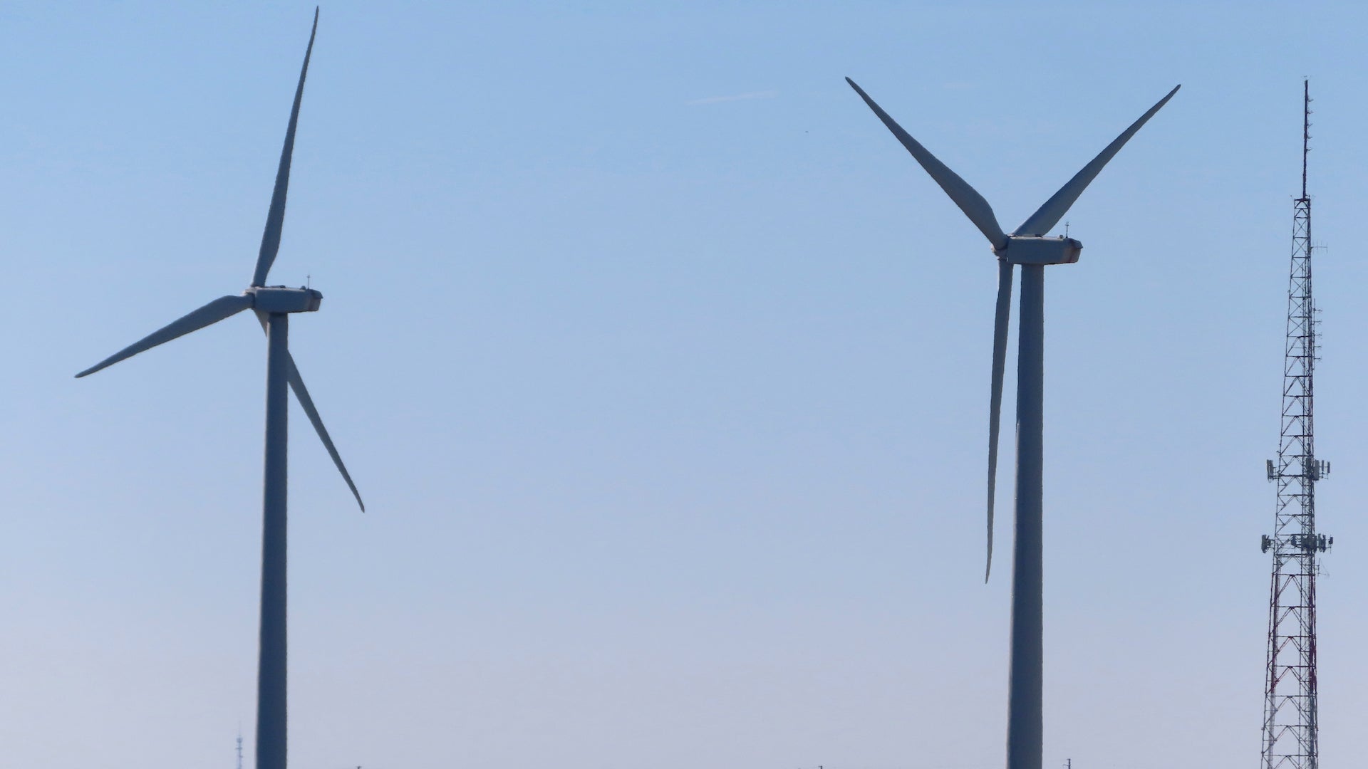 The U.S. will to use AI to monitor endangered whales near wind farms