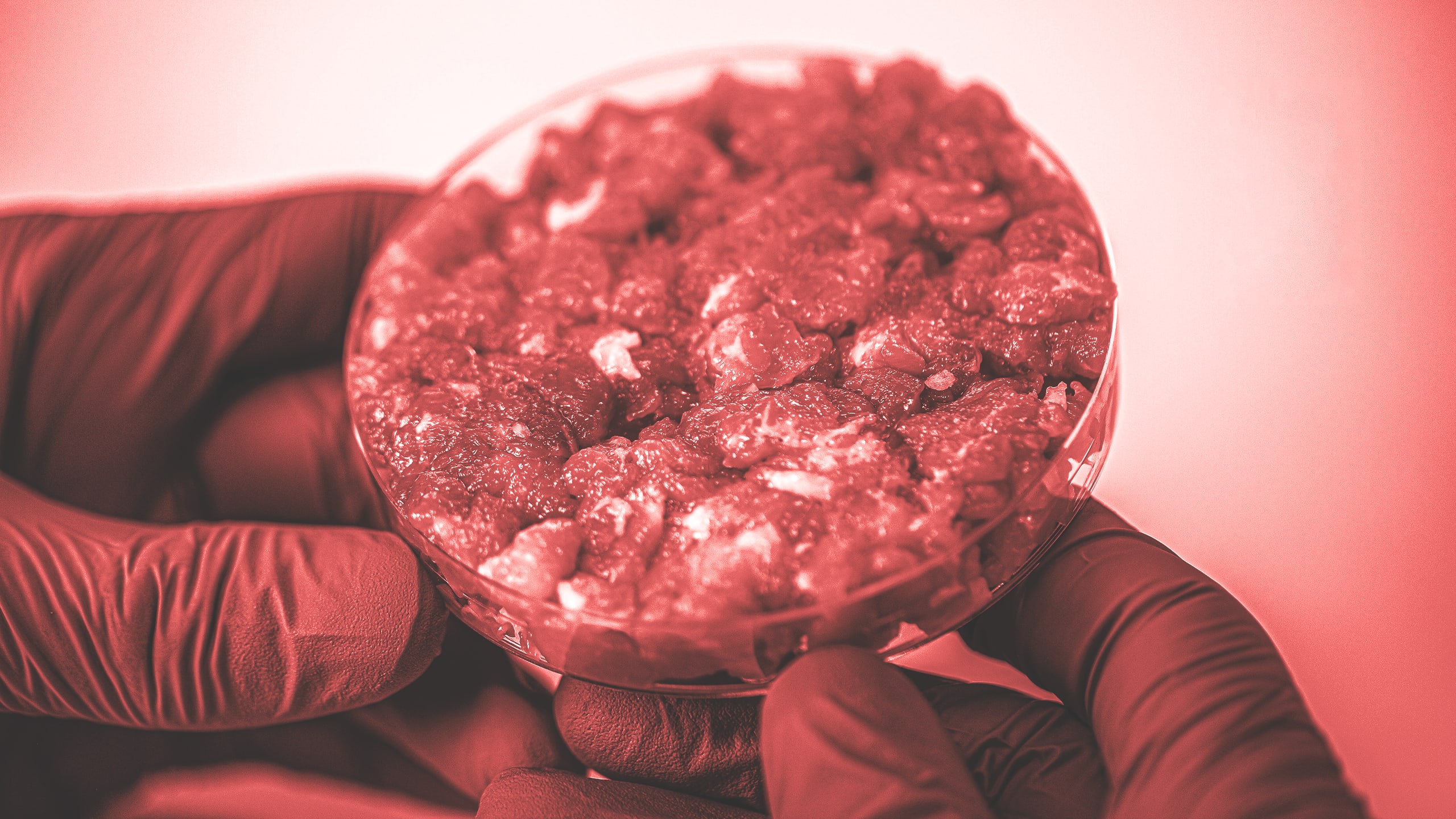 Cell-cultivated meat is facing challenges—but we shouldn't give up