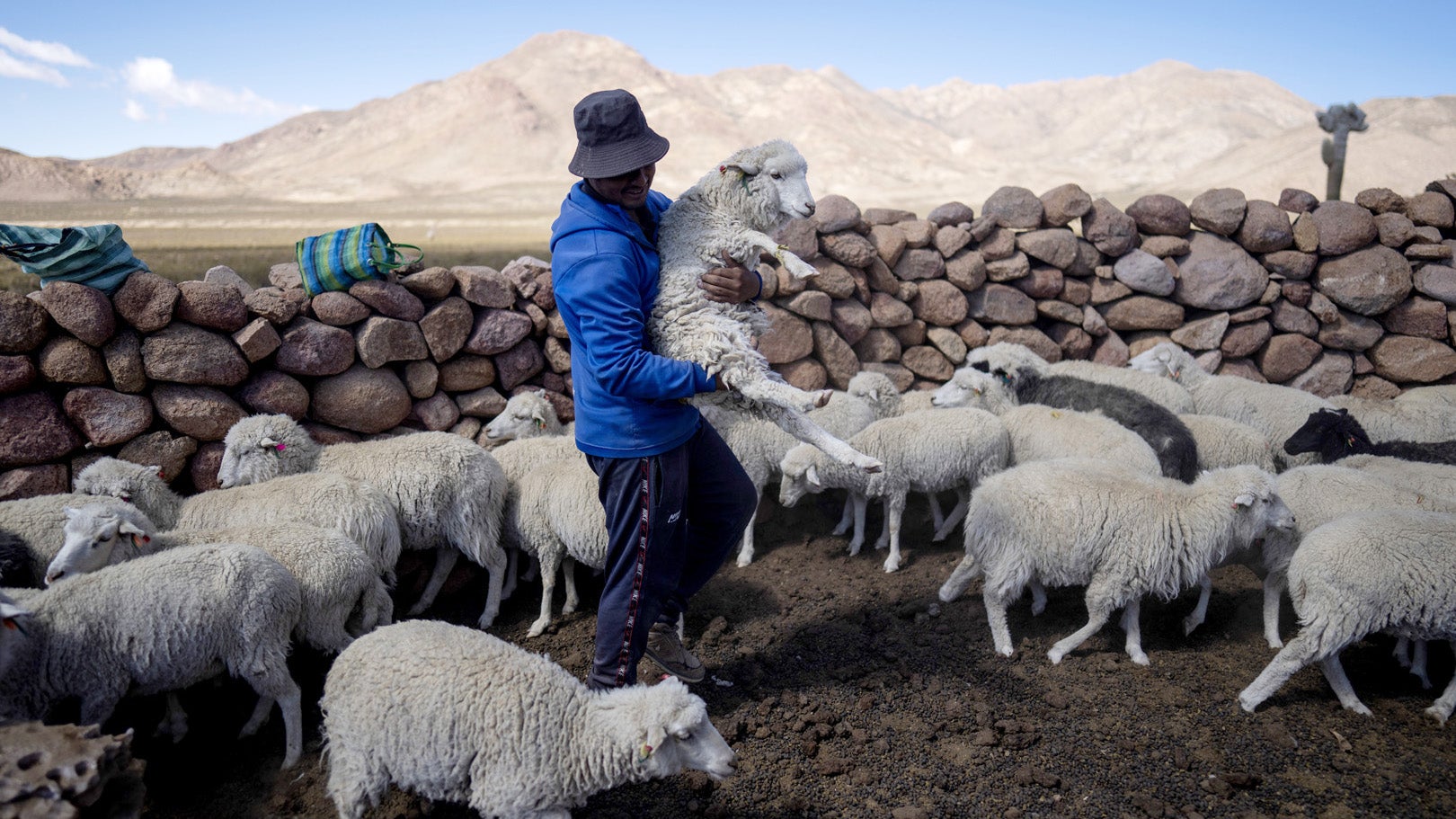 South America's 'lithium triangle' could devastate local communities