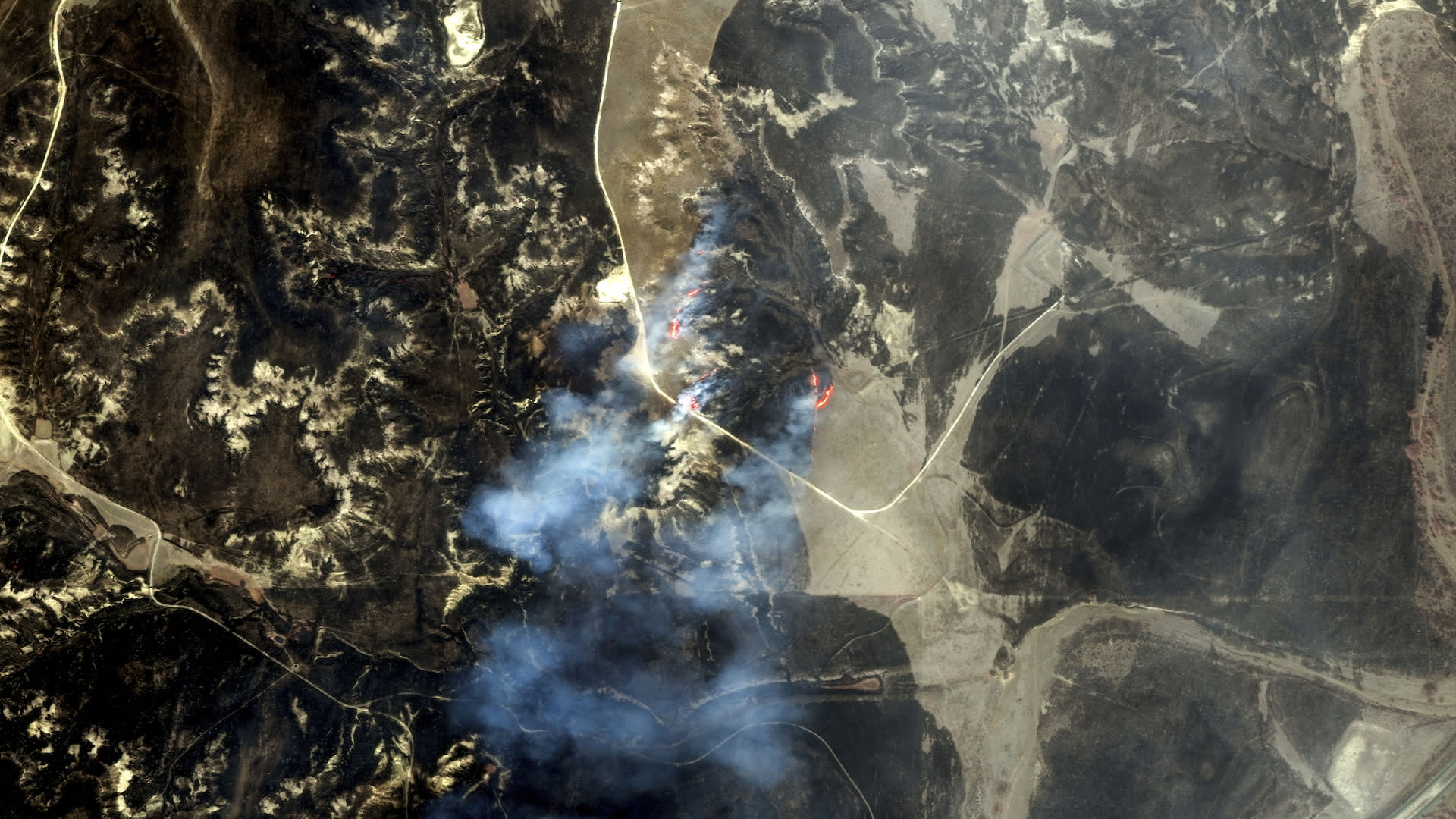 Largest Texas wildfire kills cattle, impacts beef prices