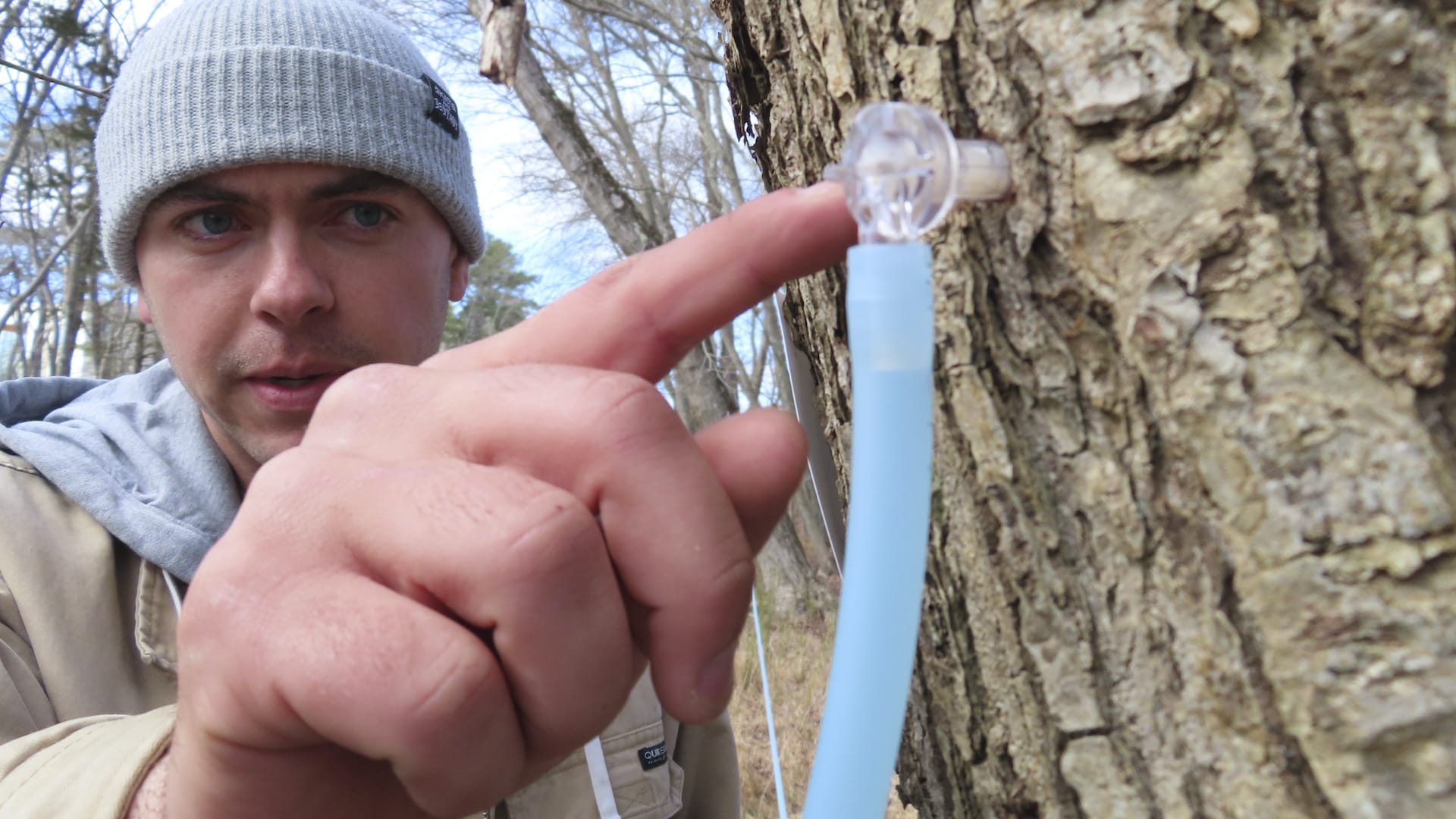 New Jersey university aims to become a maple syrup powerhouse