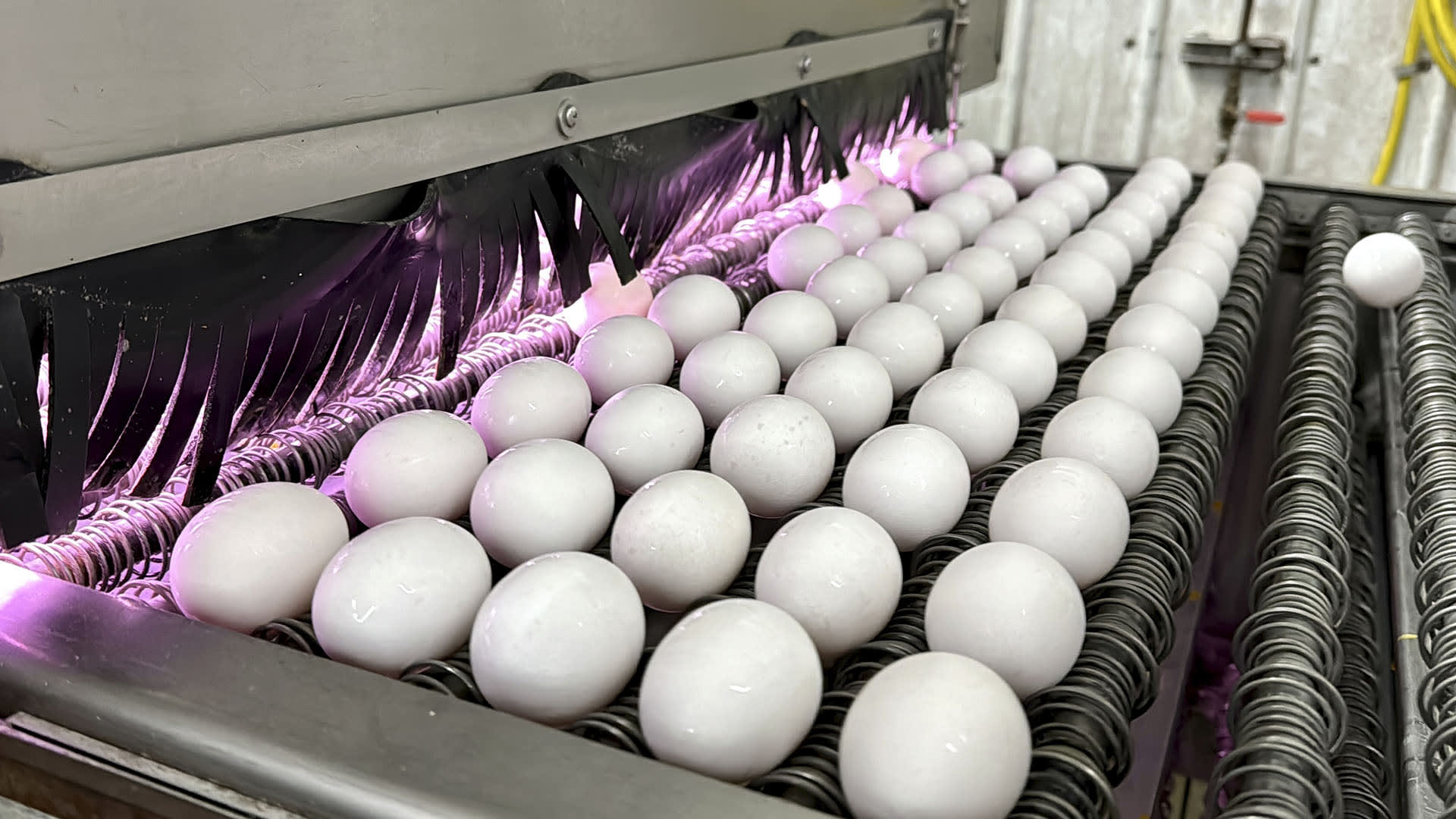 Egg prices remain high during Easter holiday due to avian bird flu and ...