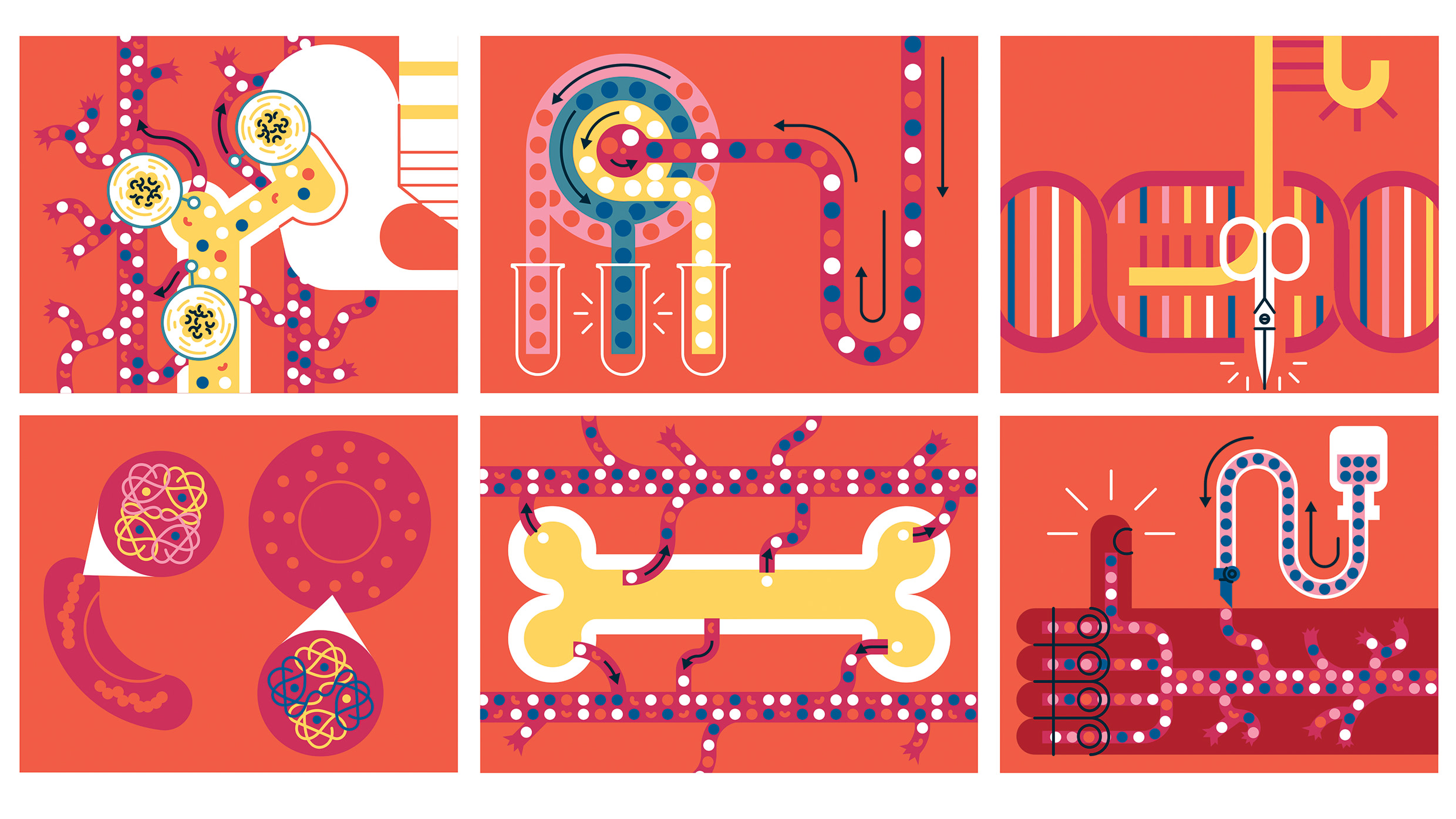 Vertex Pharmaceuticals is one of 2024's most innovative companies