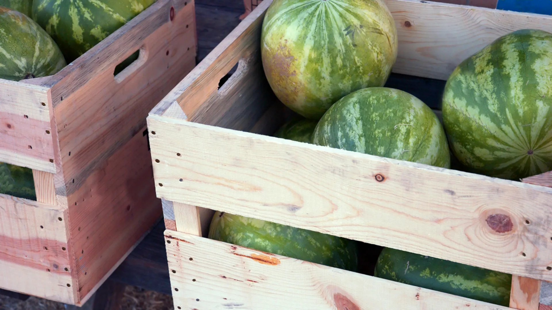 BuckyBox: Helping Farmers Get Fresh Food To Your Table - Fast Company