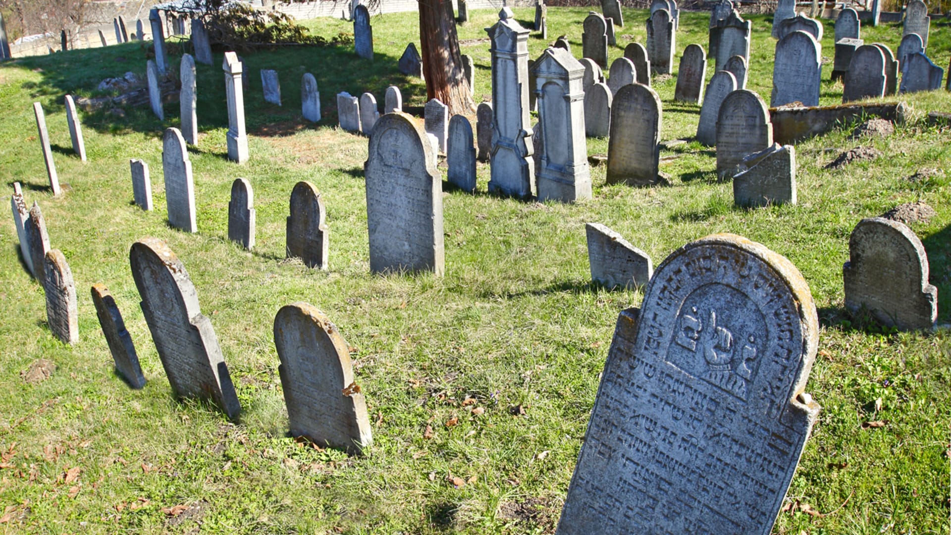 In The Future, Your Dead Body Will Be Dissolved (Unless It's Frozen And ...