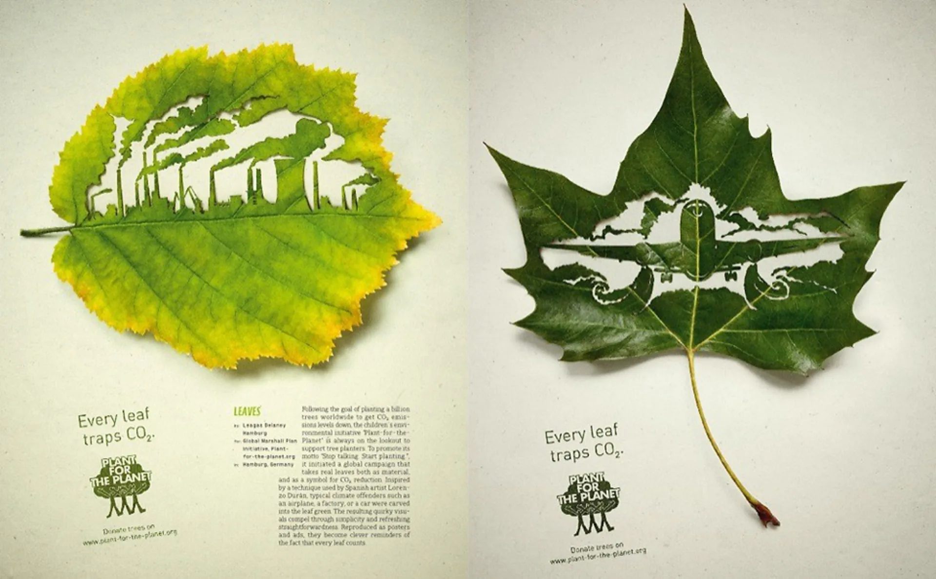 A Gorgeous Exploration Of The New Visual Language Of Sustainability ...