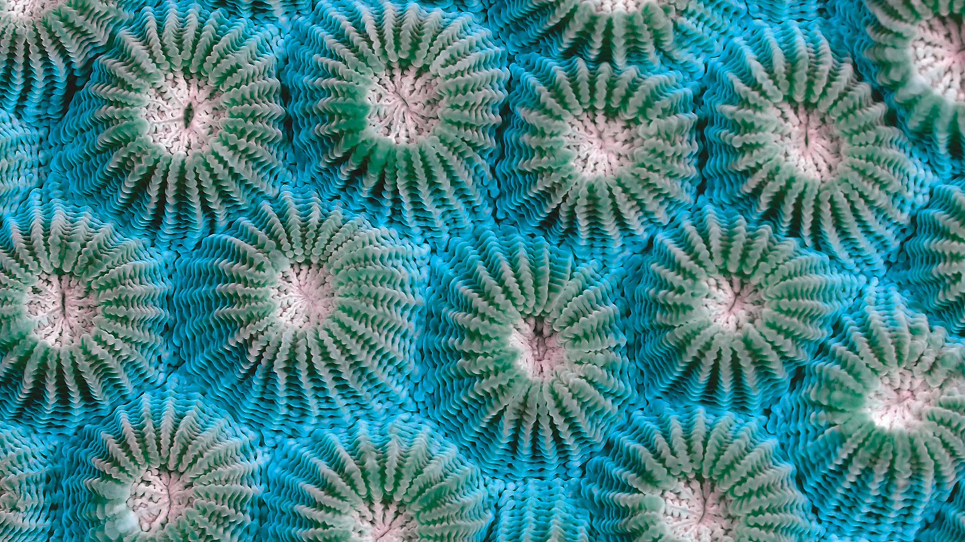 Digging For Underground Life To Create A Map Of Earth's Deep Biosphere ...