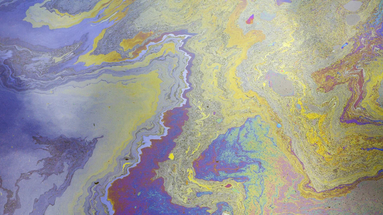 Oil-Eating Bacteria Fixed The Deepwater Horizon Disaster, But They May ...