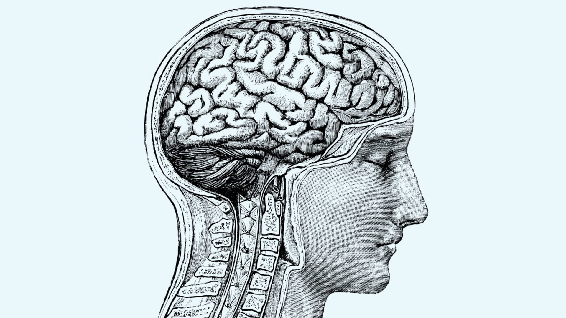 Mapping Your Brain To Predict Your Dreams - Fast Company