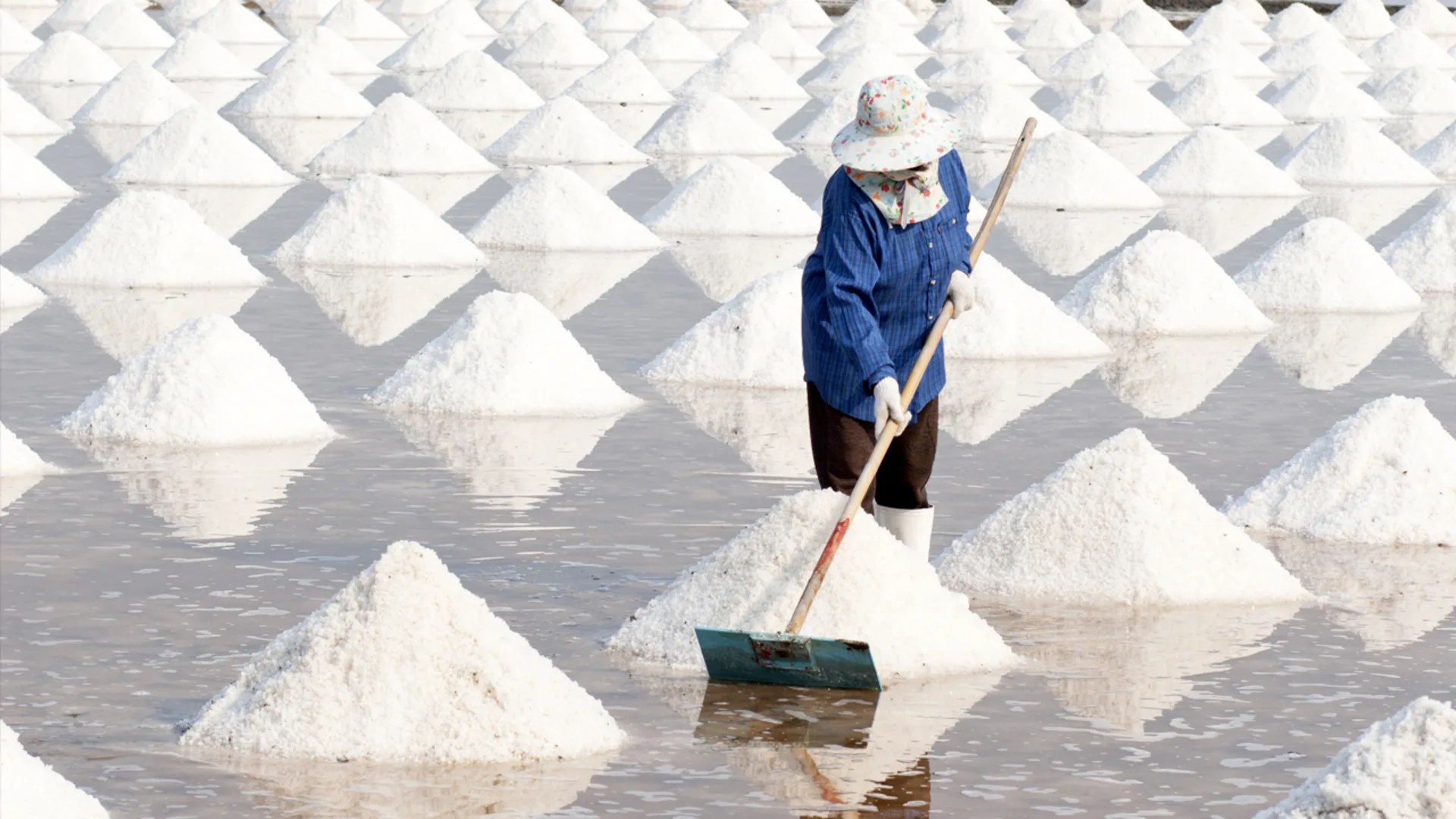 Forget Fake Sugar: Salt Replacement Technology Is Now In Your Baked ...