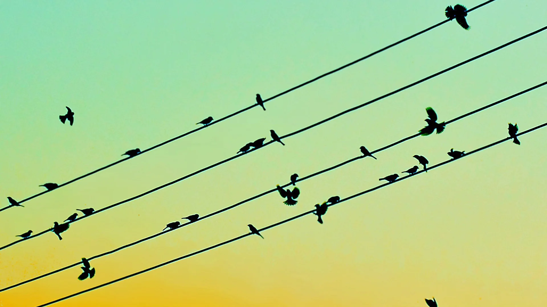 New Deal Between Twitter And Starcom MediaVest Intended To "Shape The ...