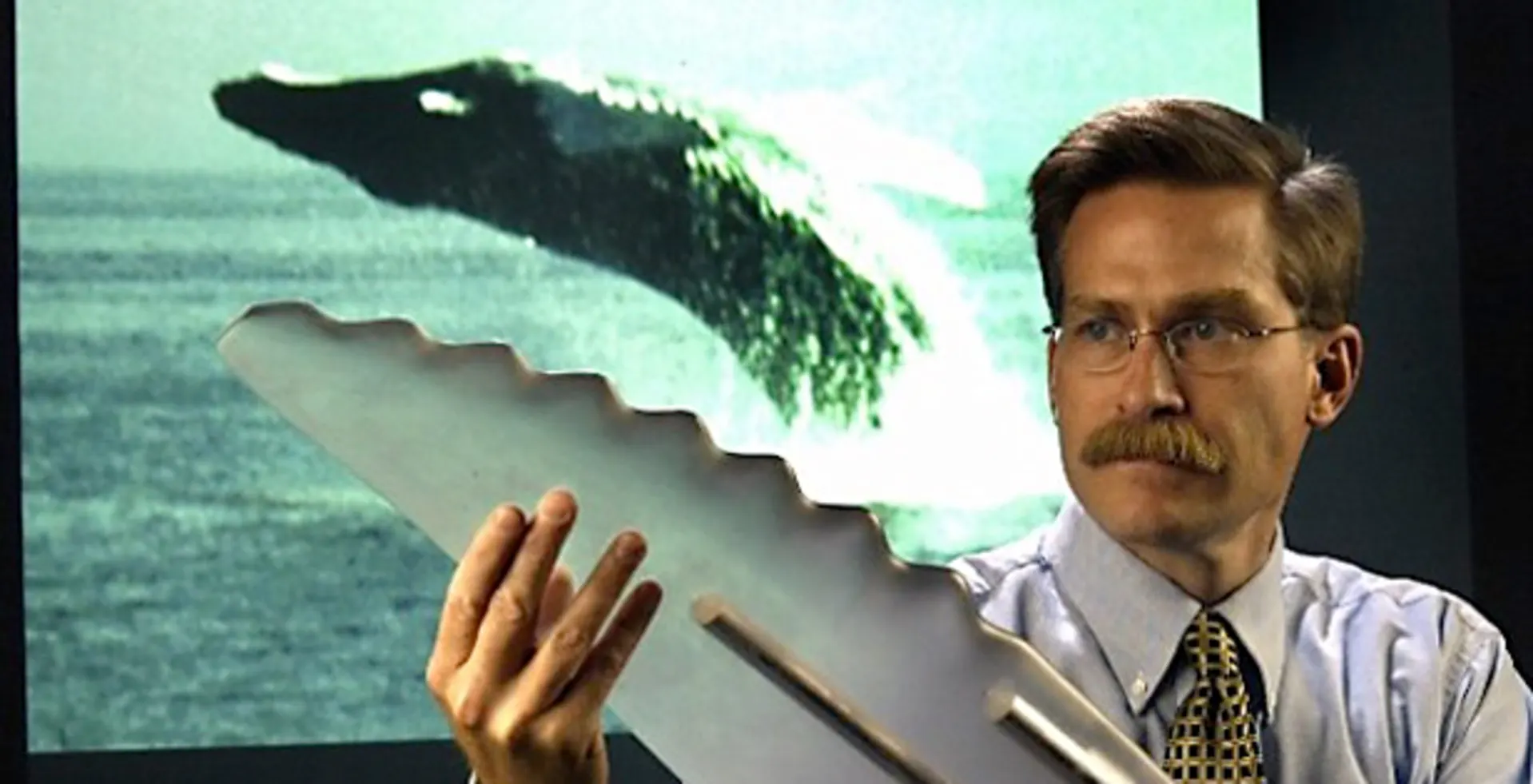 Whale Flippers Inspire Efficient Ocean Turbines - Fast Company